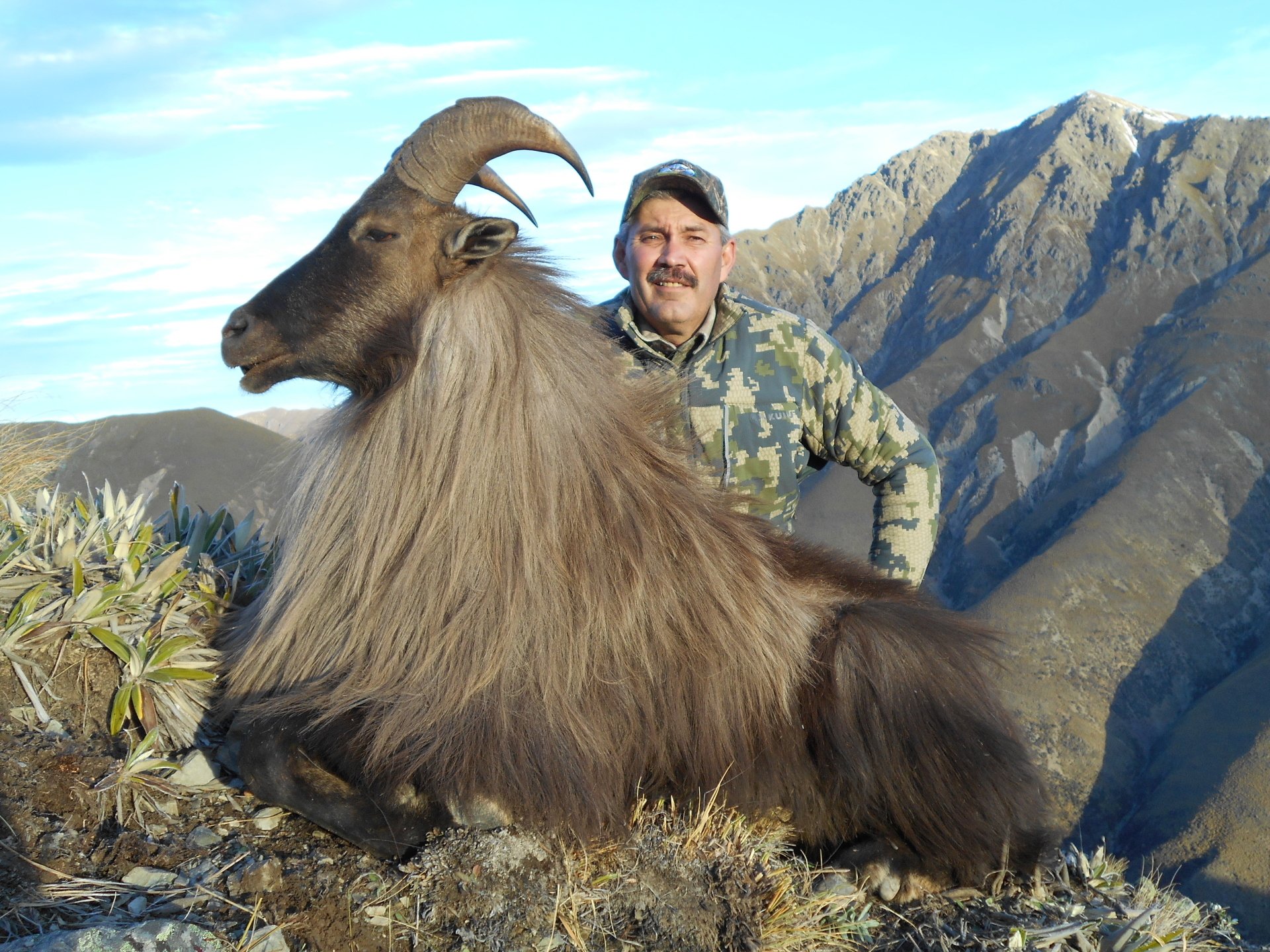 Hunt for Himalayan Tahr - Lochinvar Safaris New Zealand