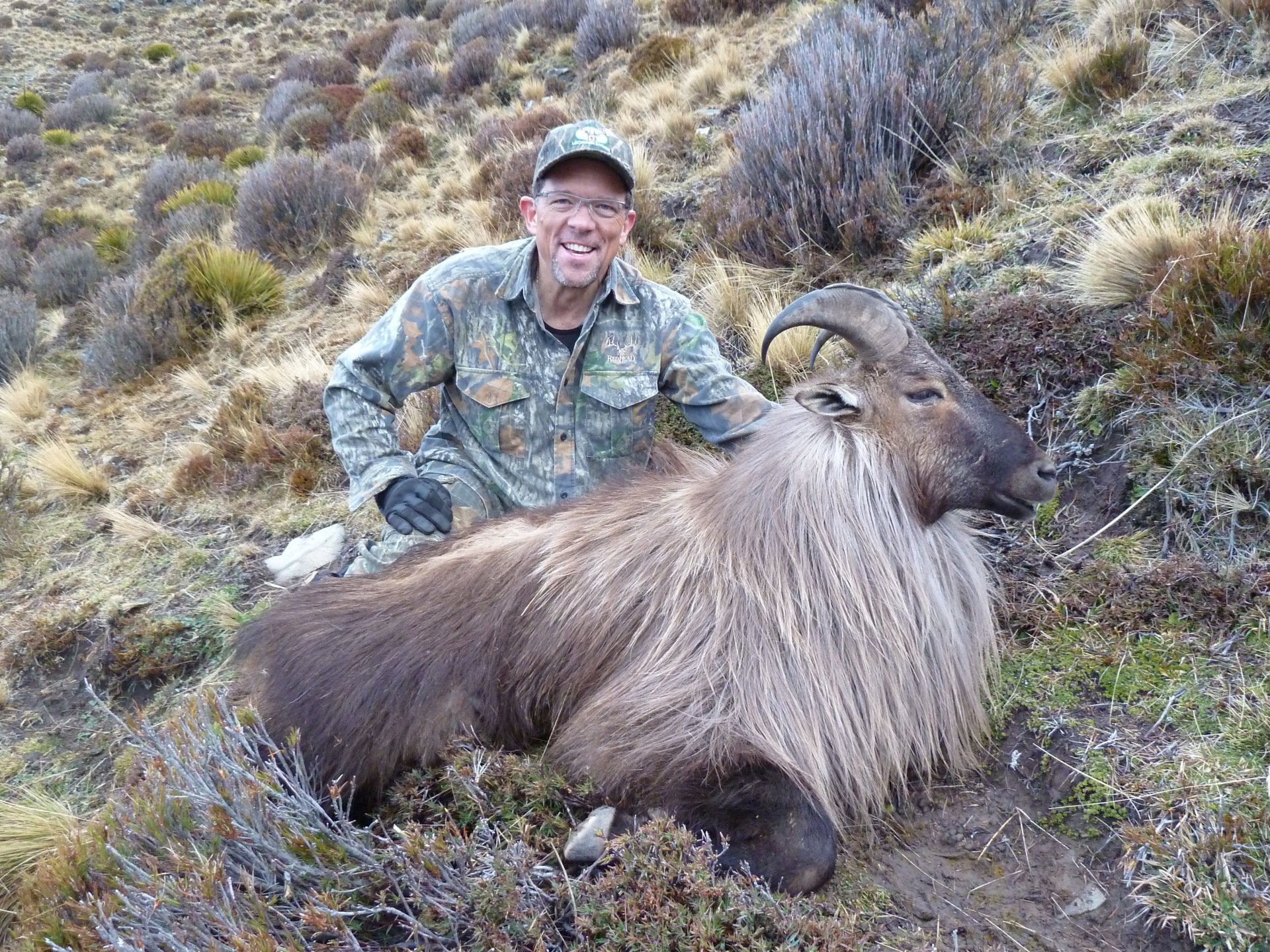 Hunt for Himalayan Tahr - Lochinvar Safaris New Zealand