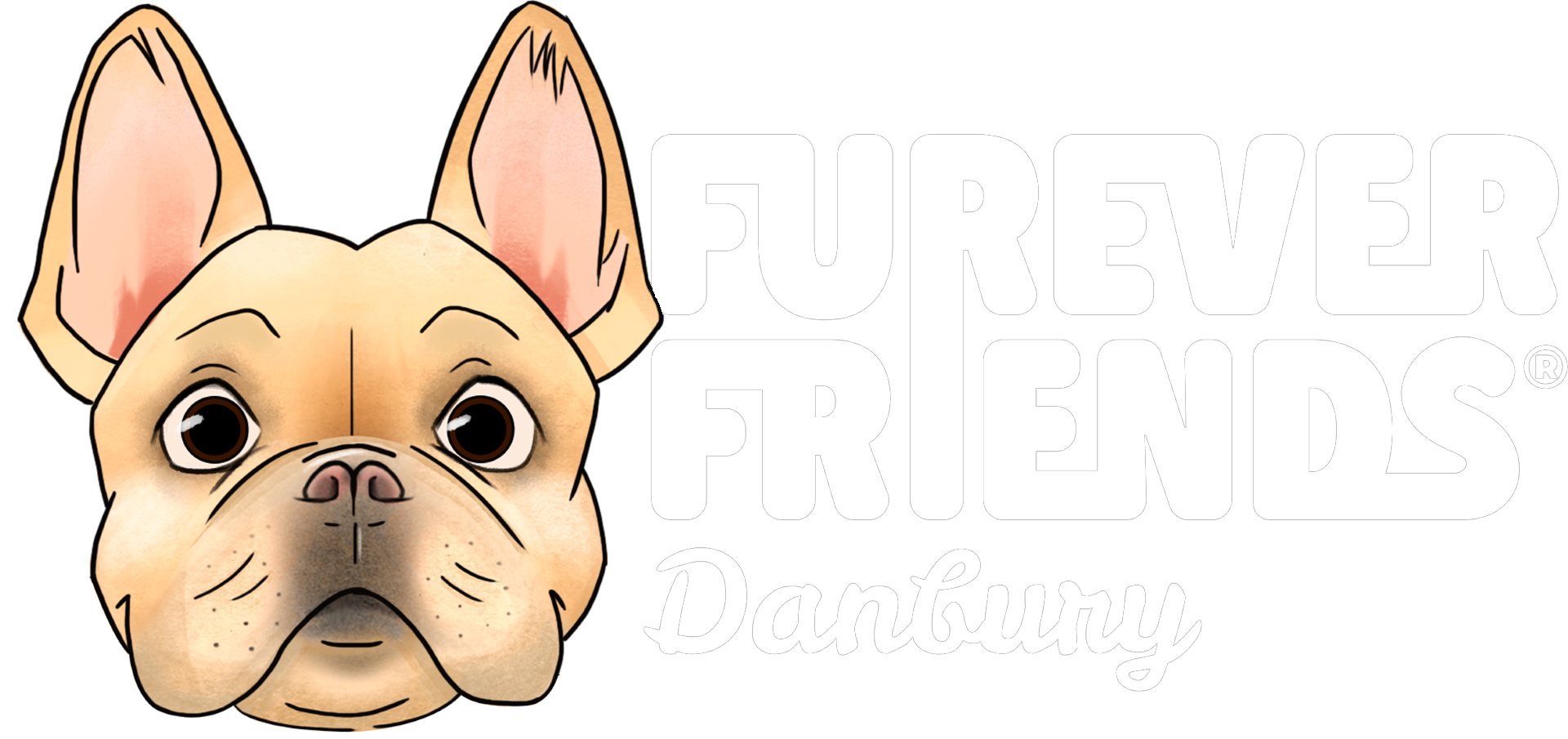 Find your FurEver Friend | Furever Friends Danbury | Danbury, CT