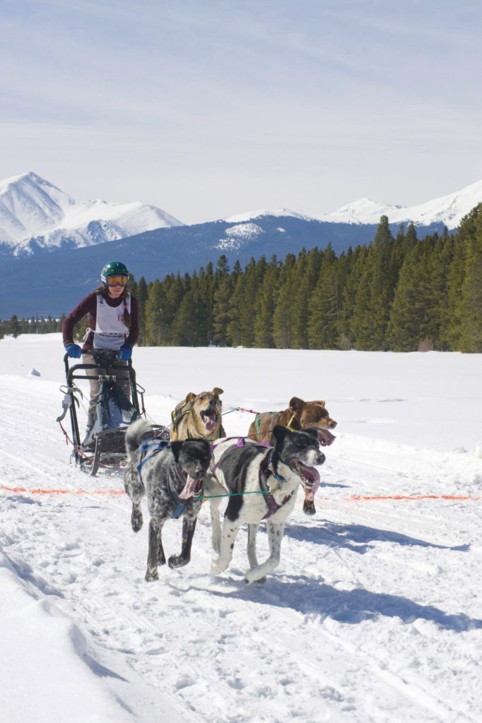 Visitor Guide & Maps | Visit Leadville-Twin Lakes | Leadville