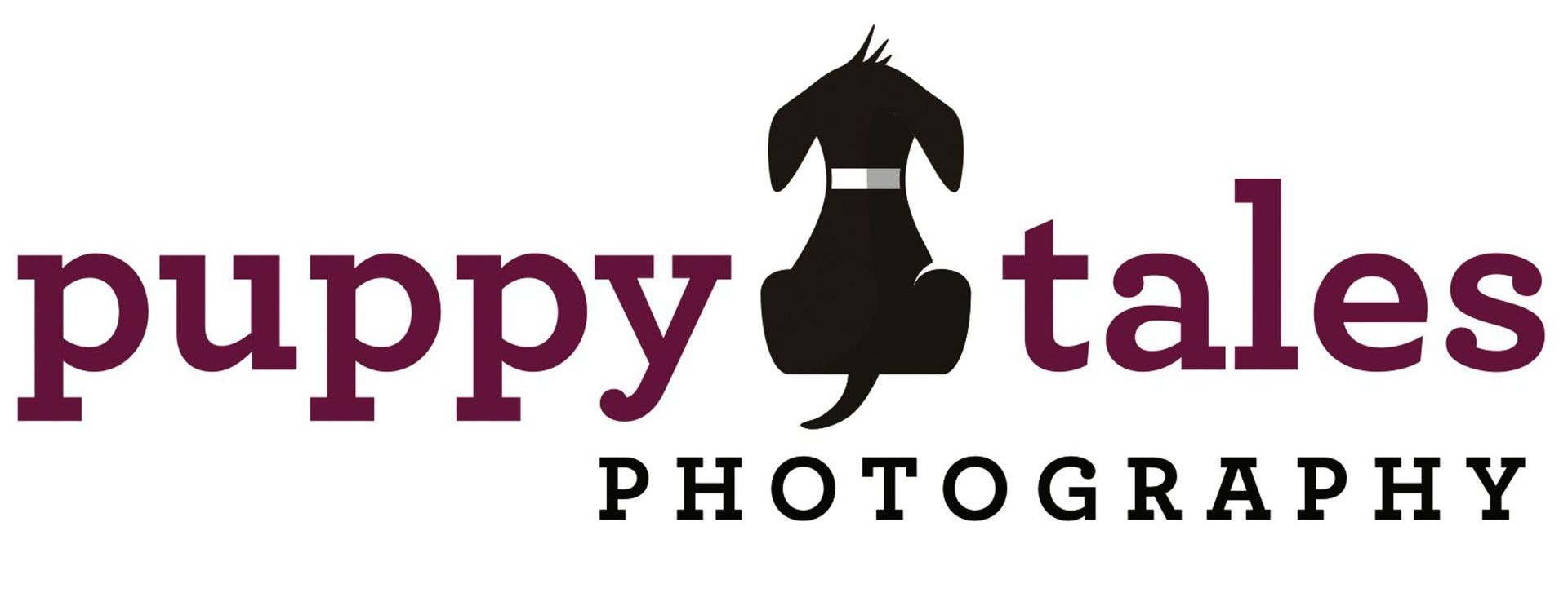 Story Dogs Sponsors, Australia | Story Dogs