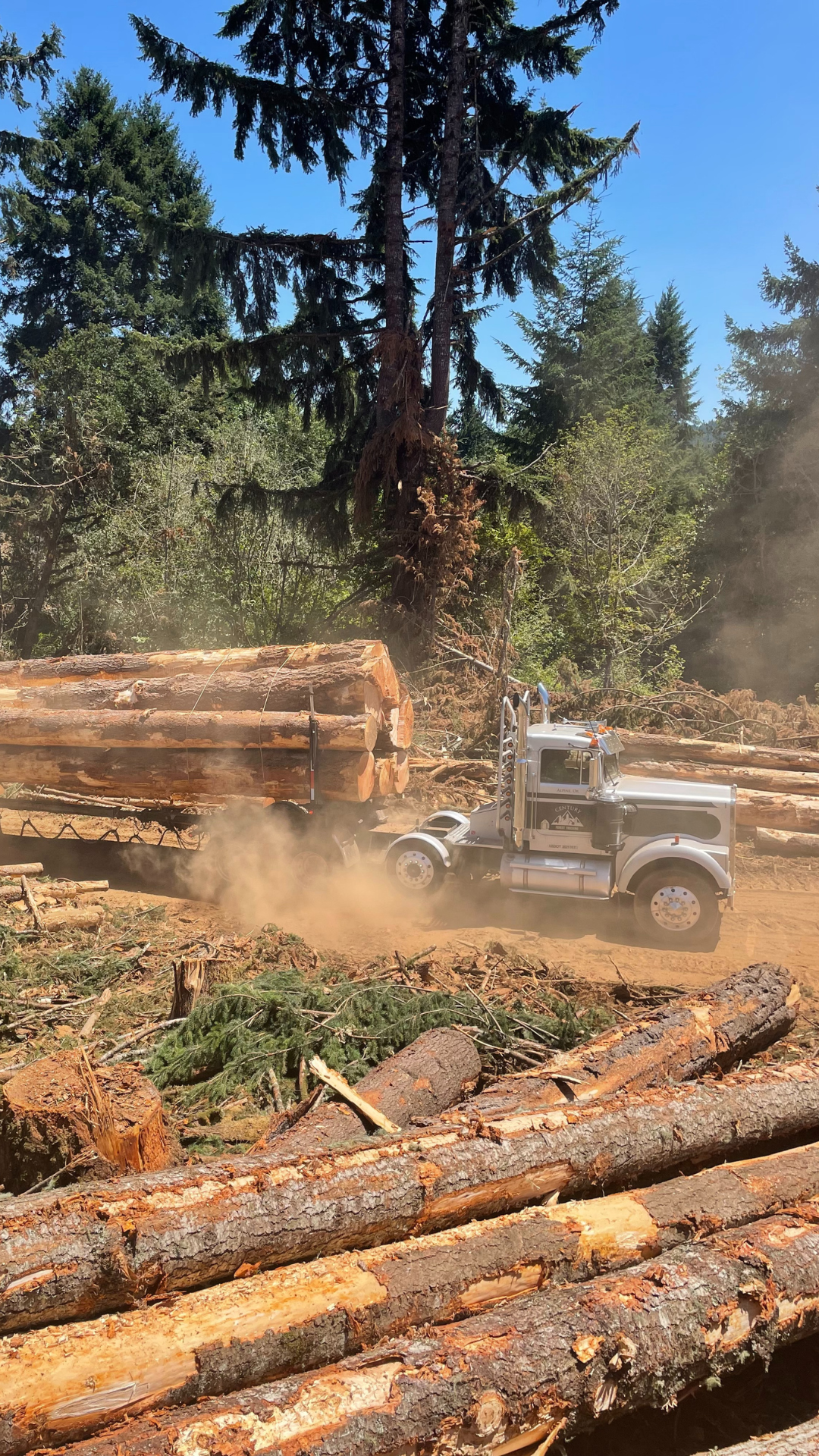Timber Valuation, Cruising, & Appraisal Services in Oregon