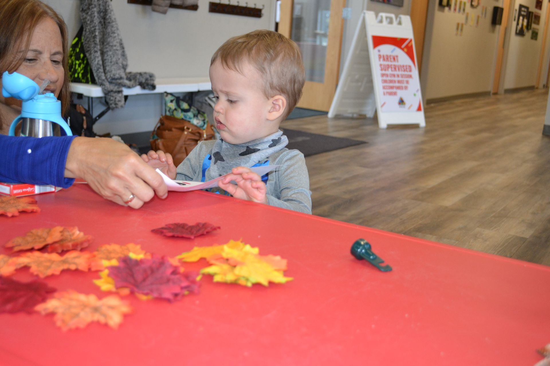 Open Gym & Birthday Parties | Prairie Kids Club | Sun Prairie WI