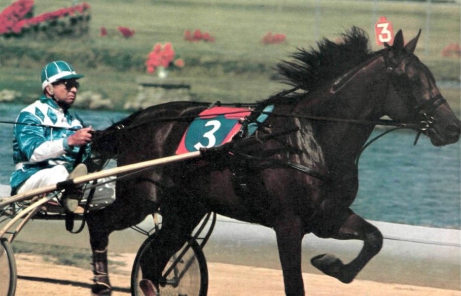 About Lindy Farms, A Racing Tradition