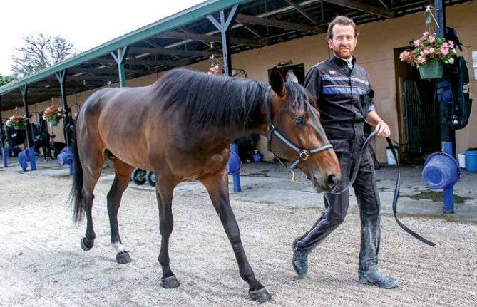 About Lindy Farms, A Racing Tradition