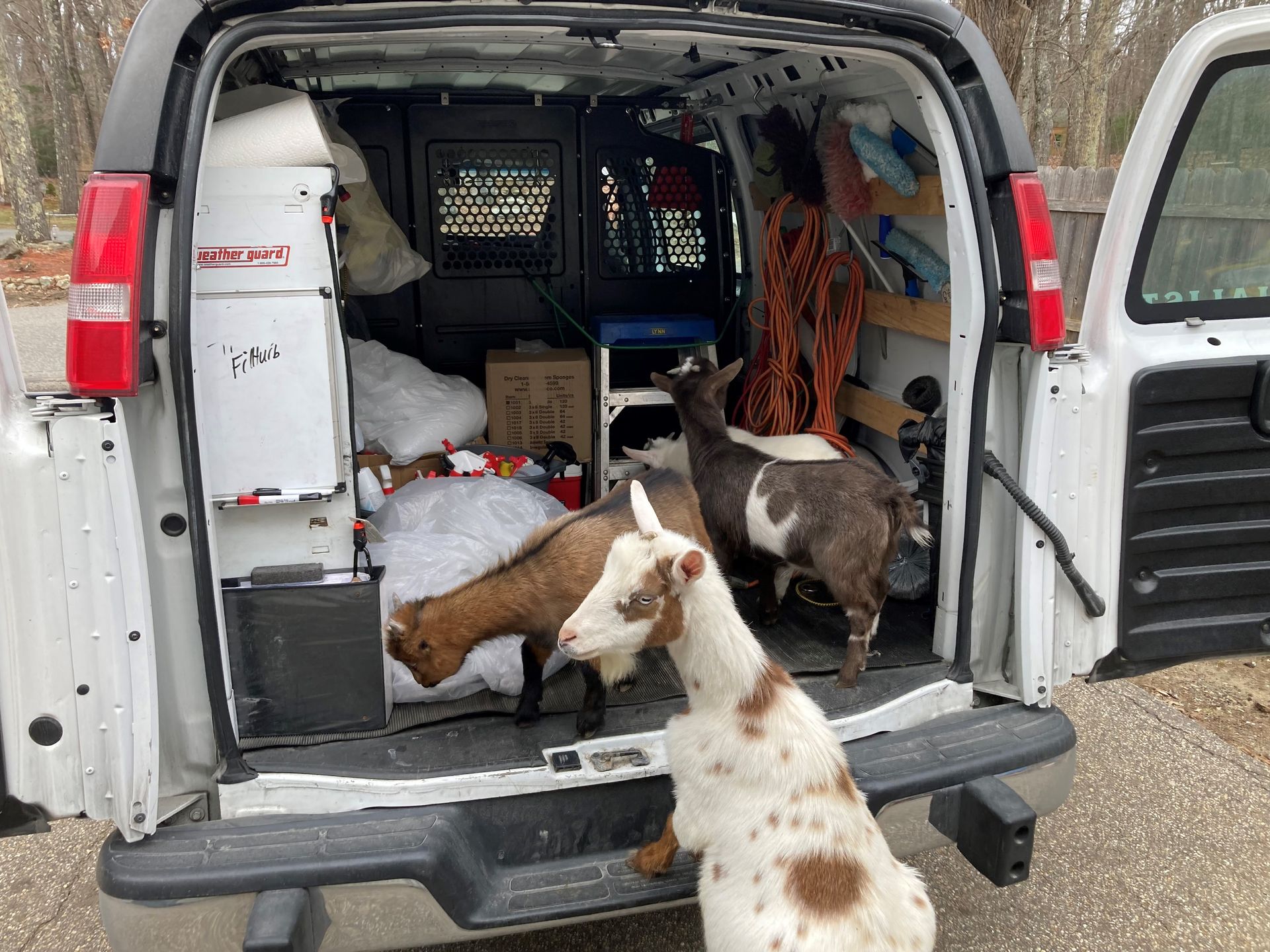 The 'Goat Inspectors' of Rutland: Craftech Restoration's Unforgettable Job