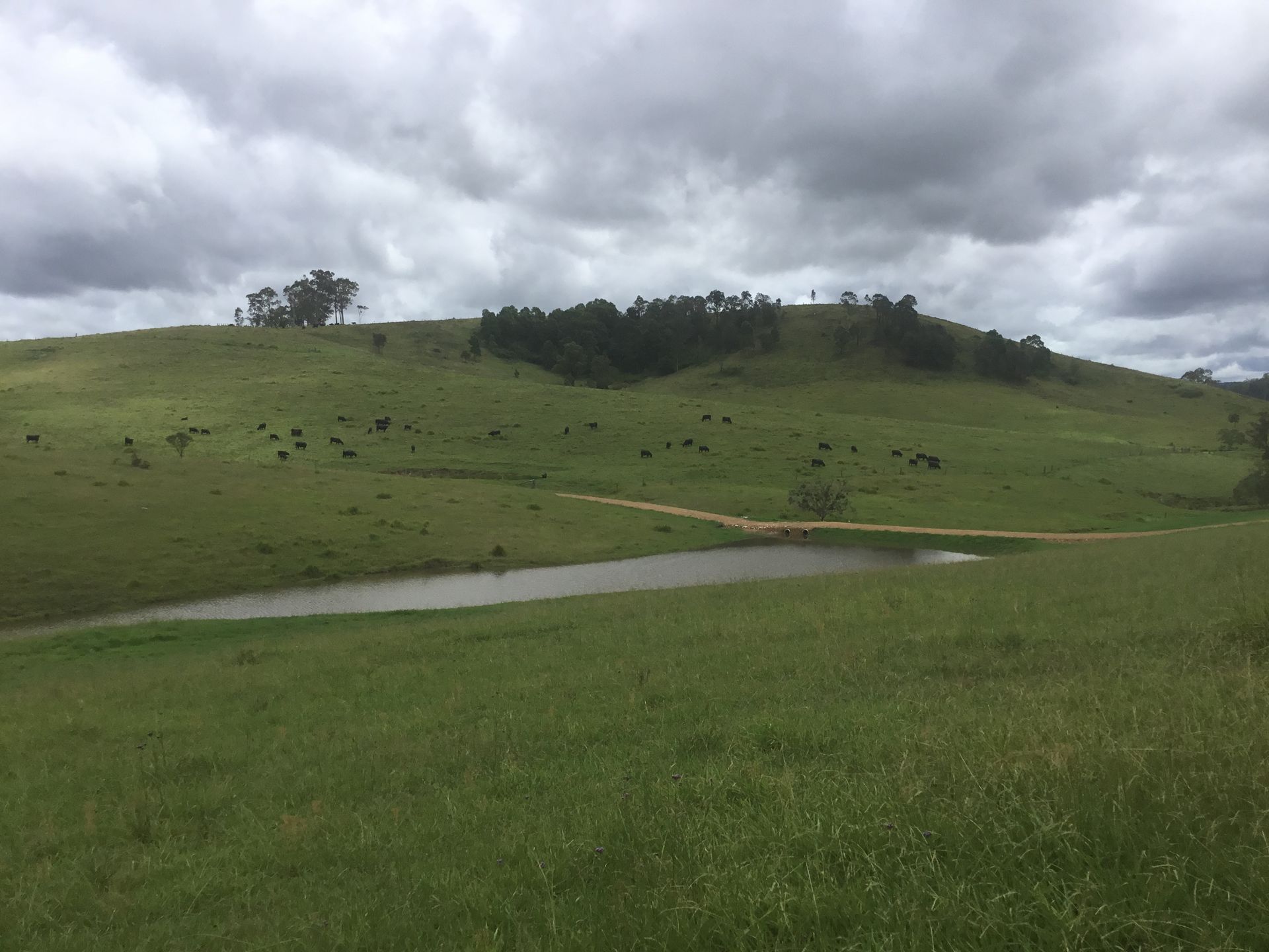 Dam Construction in Taree | S M & A J Gilbert Earthmoving