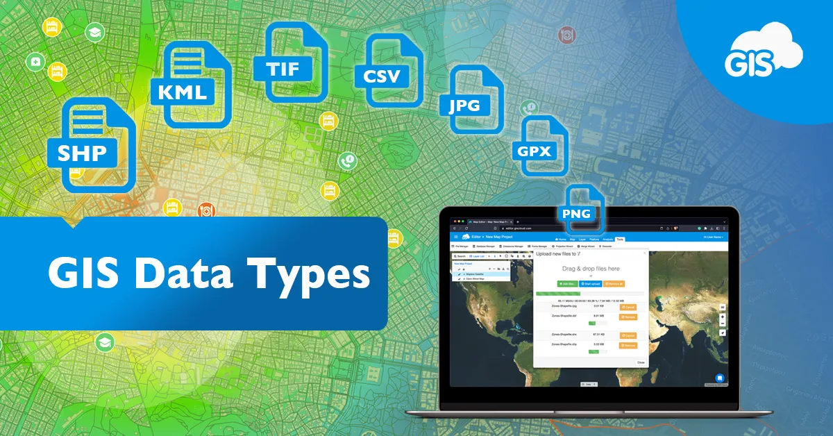 What are GIS data types and their formats?