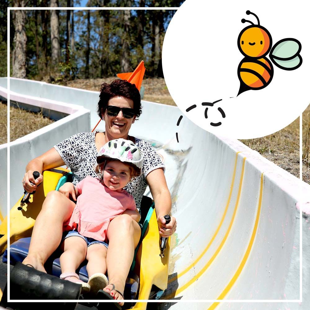 Toboggan on the Mid North Coast, NSW | The Big Buzz