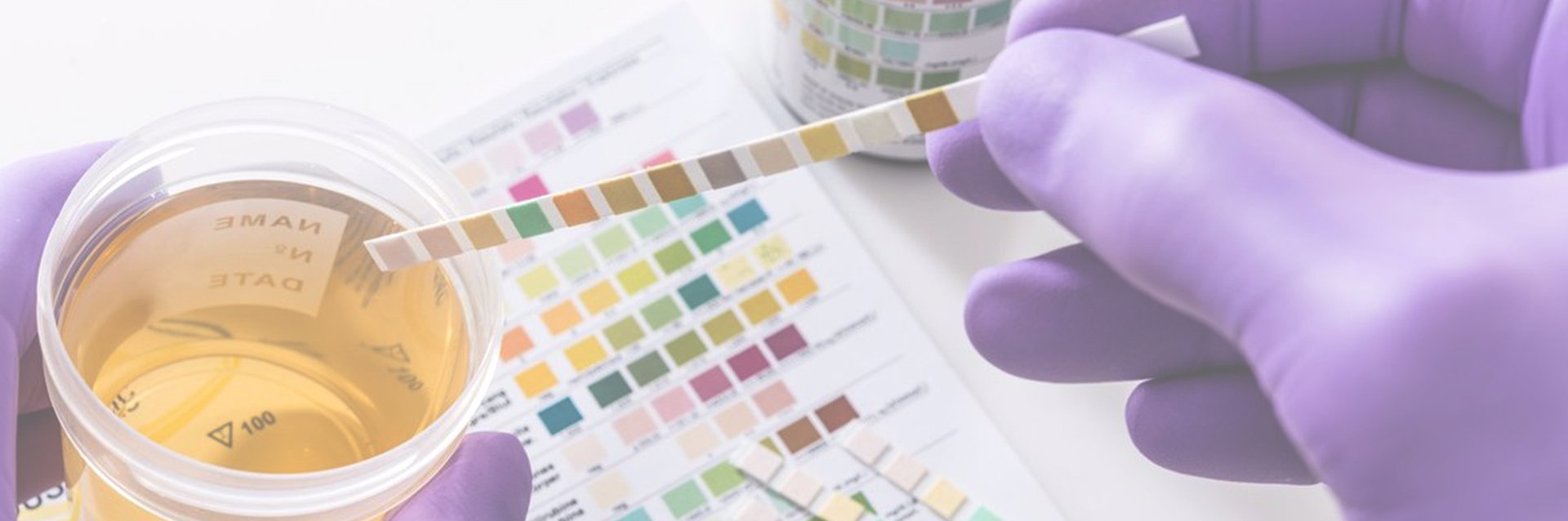 Bernardo Lew- Equipamientos clínicos en Buenos Aires