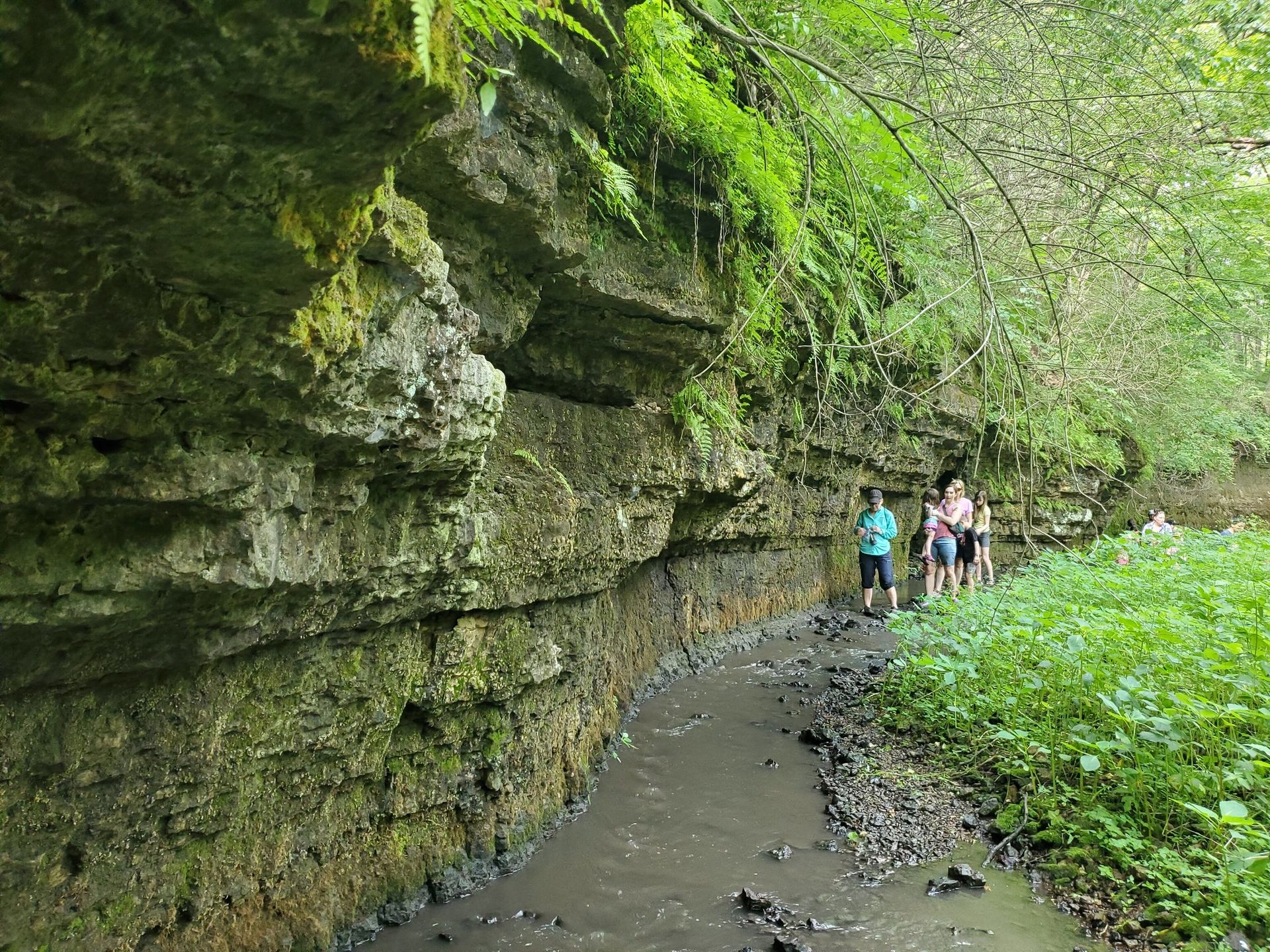 Take a hike, explore the hiking trails at Severson Dells