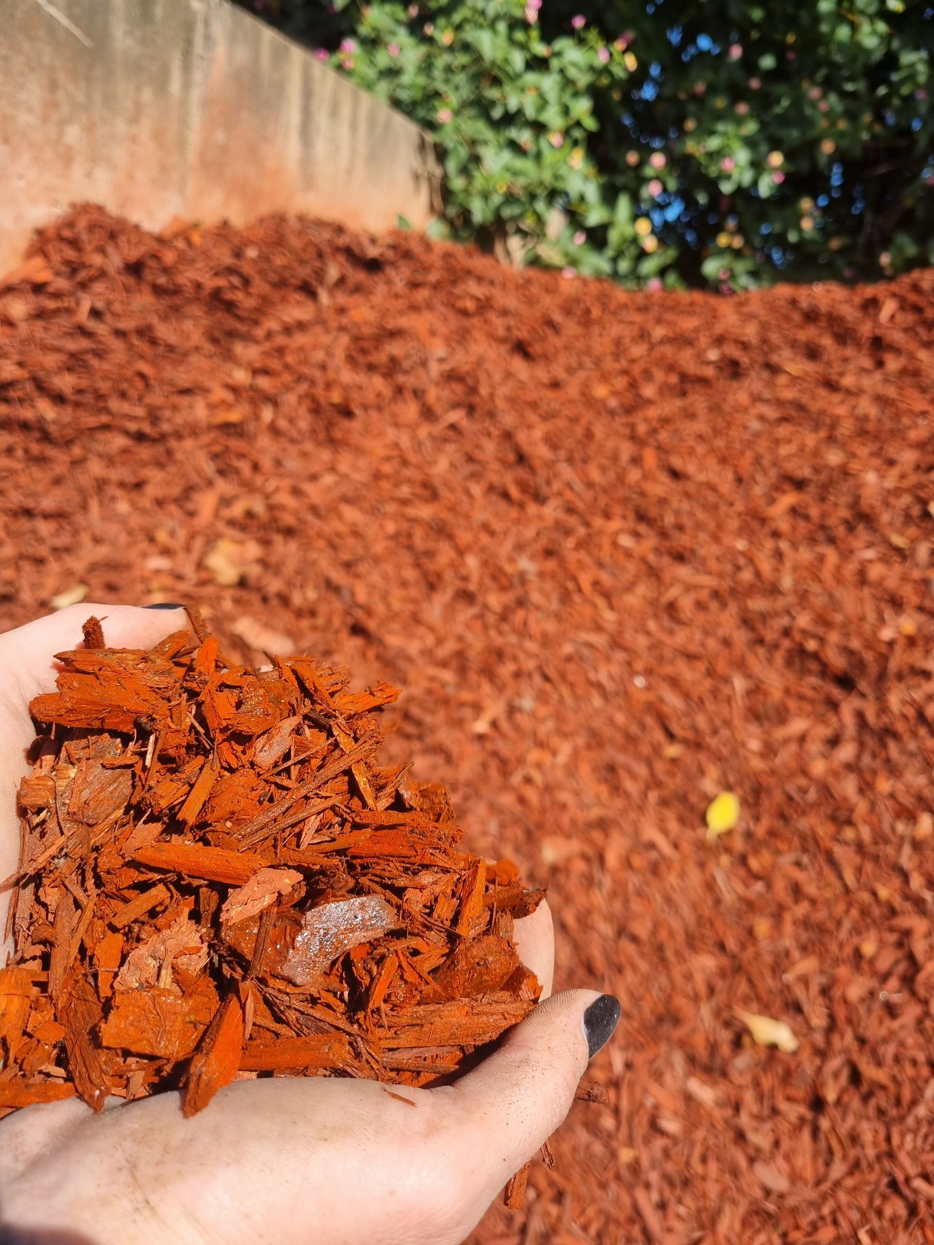 Sand & Soil Albion Park | Albion Park Landscaping Supplies