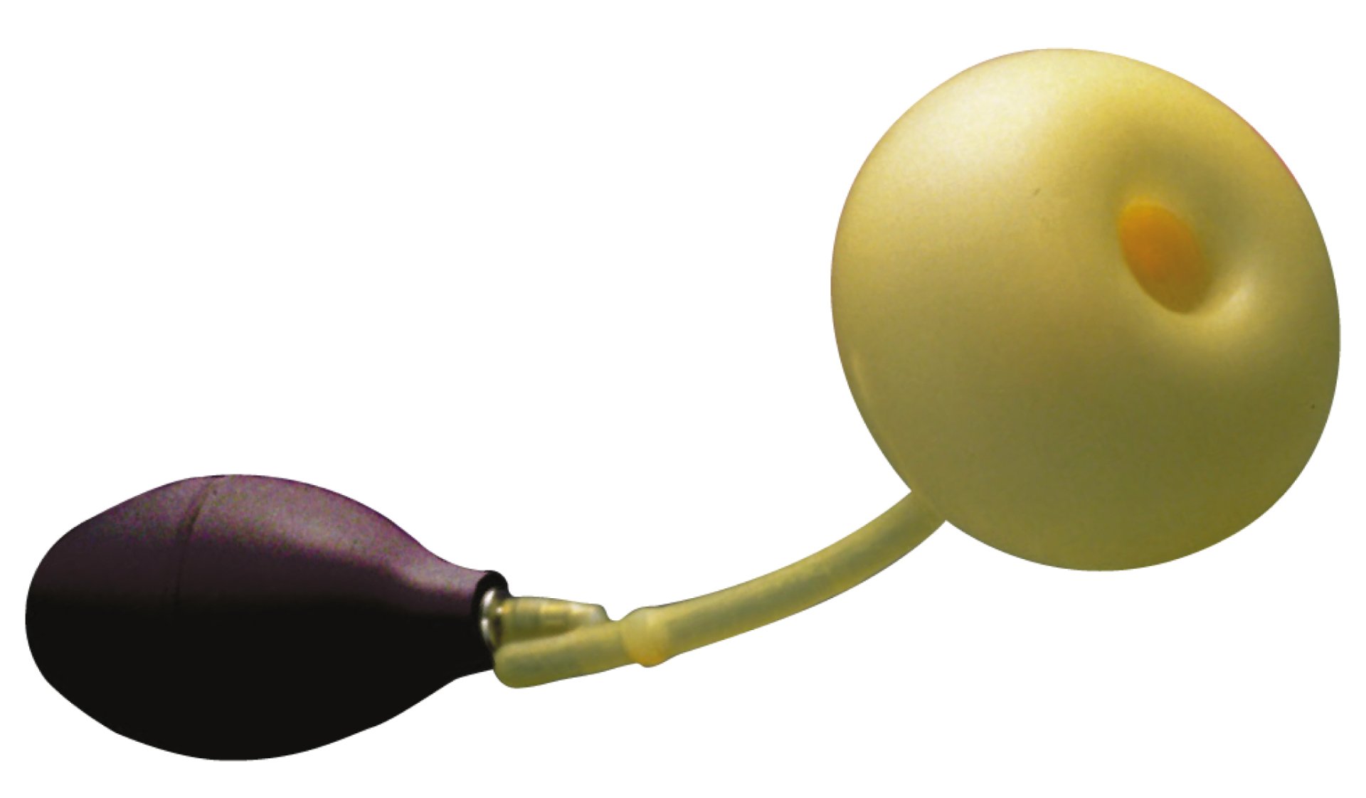 The different types of pessaries