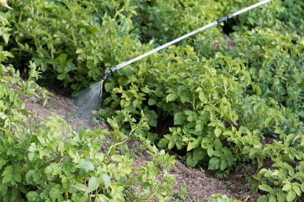 Natraspray Lismore | Termite and Pest Control in Lismore