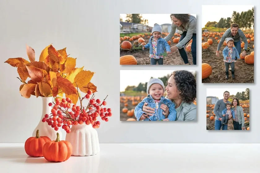 Prints & Photo Creations | Cavalcade Color Lab Foto Source