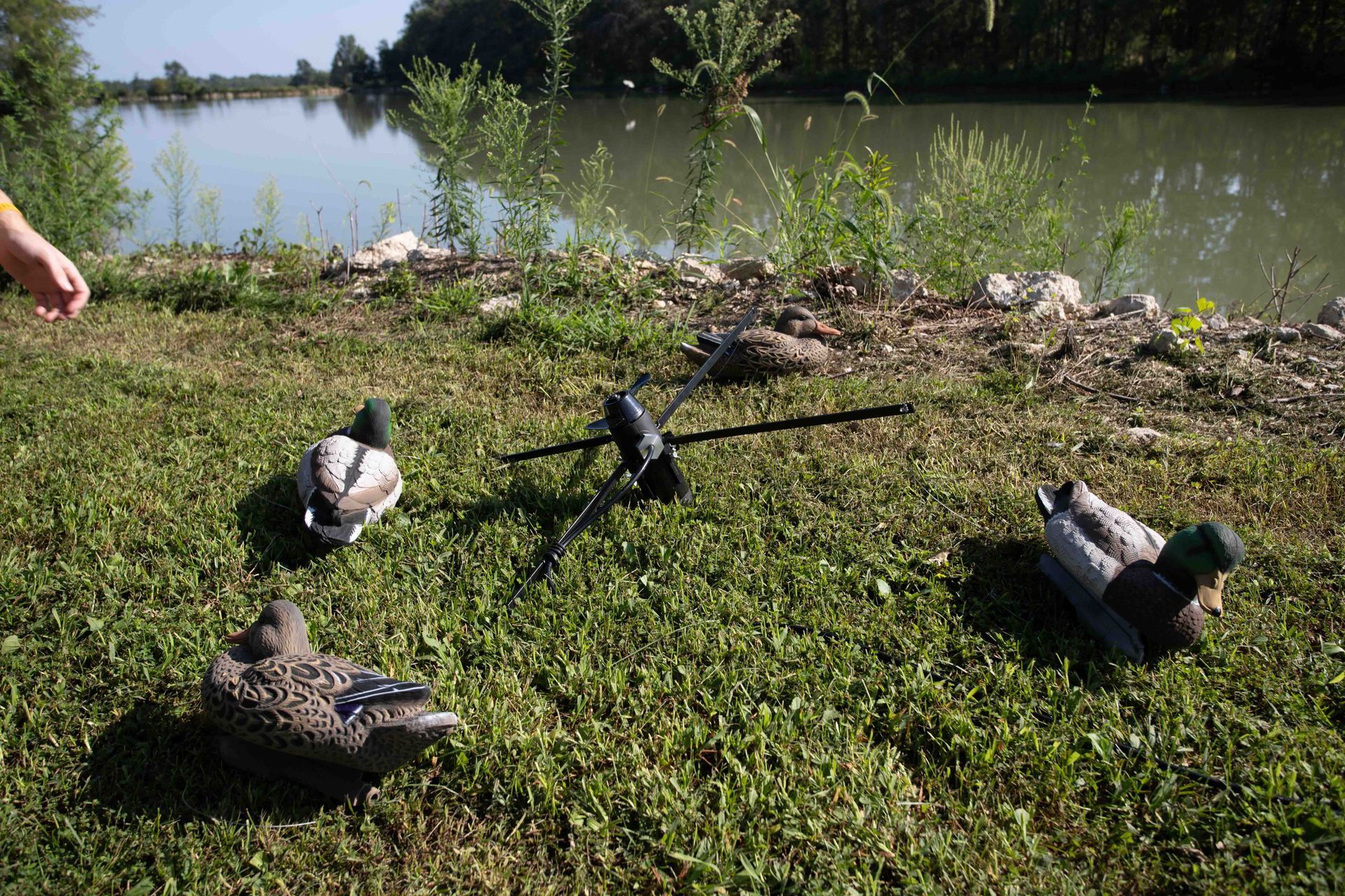 Show Me Ducks | Specialty Equipment Manufacturer