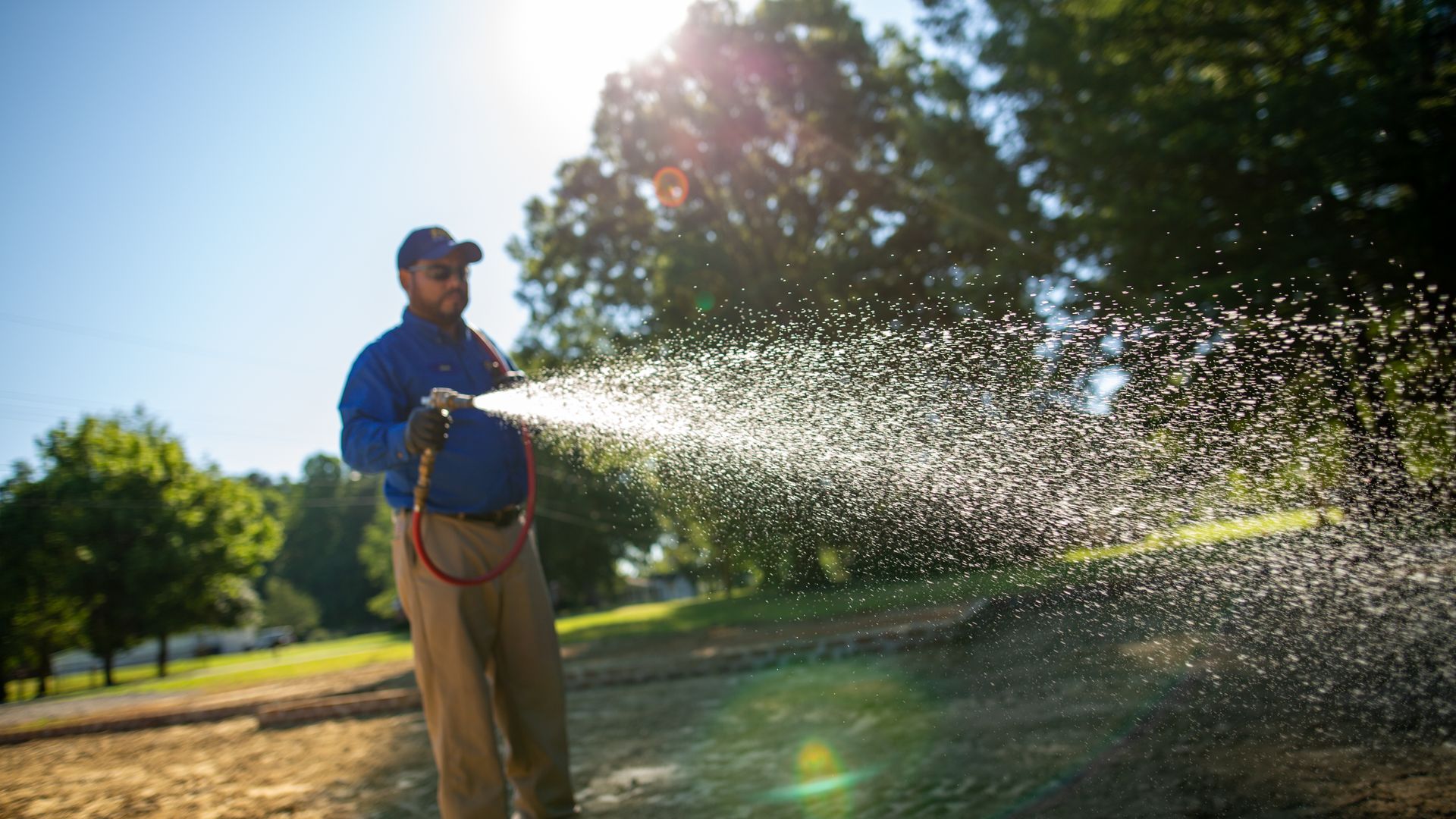 About Ray's Pest Control | Professional Pest Solutions