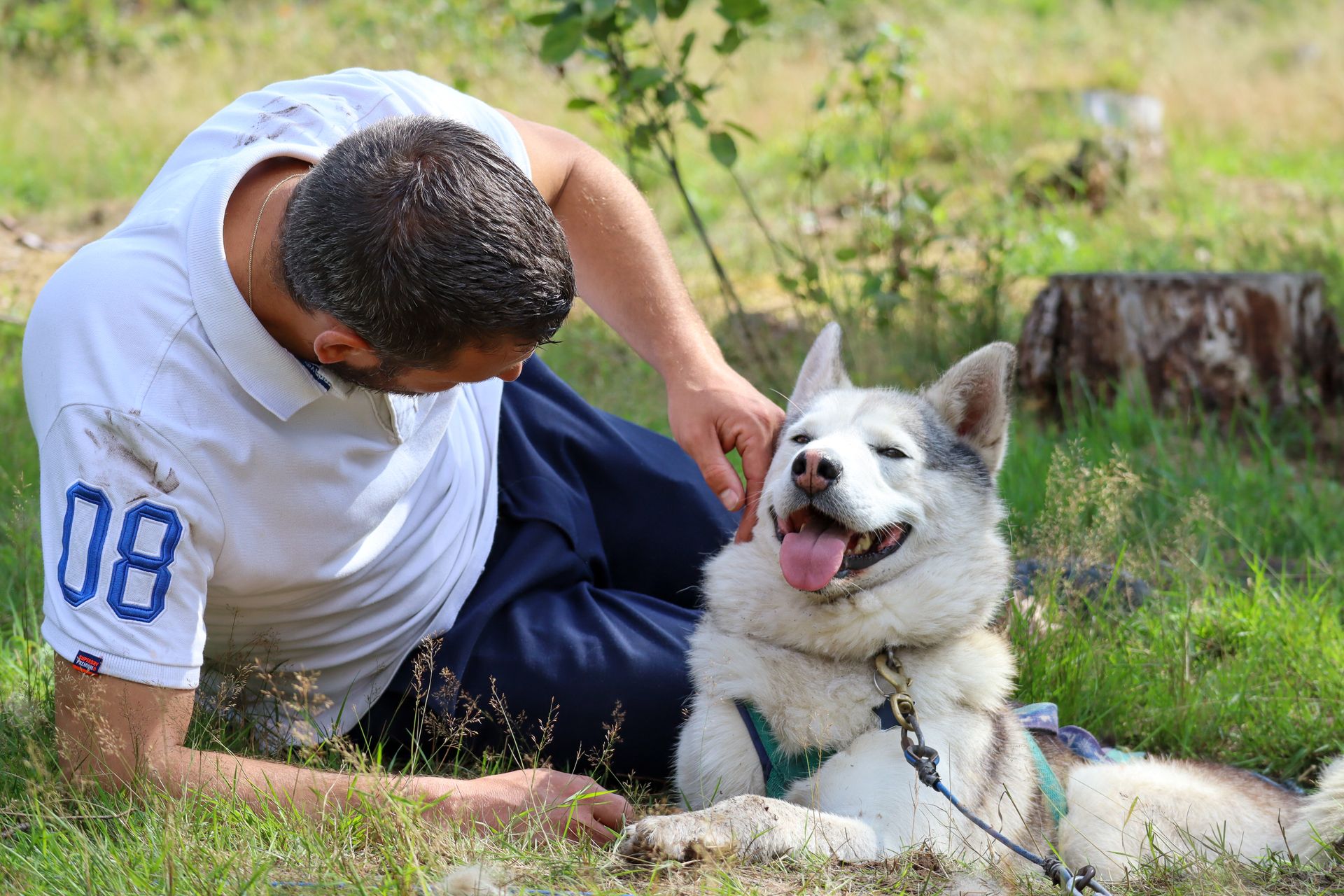Husky reizen | Dutch Husky Experience | Nederland