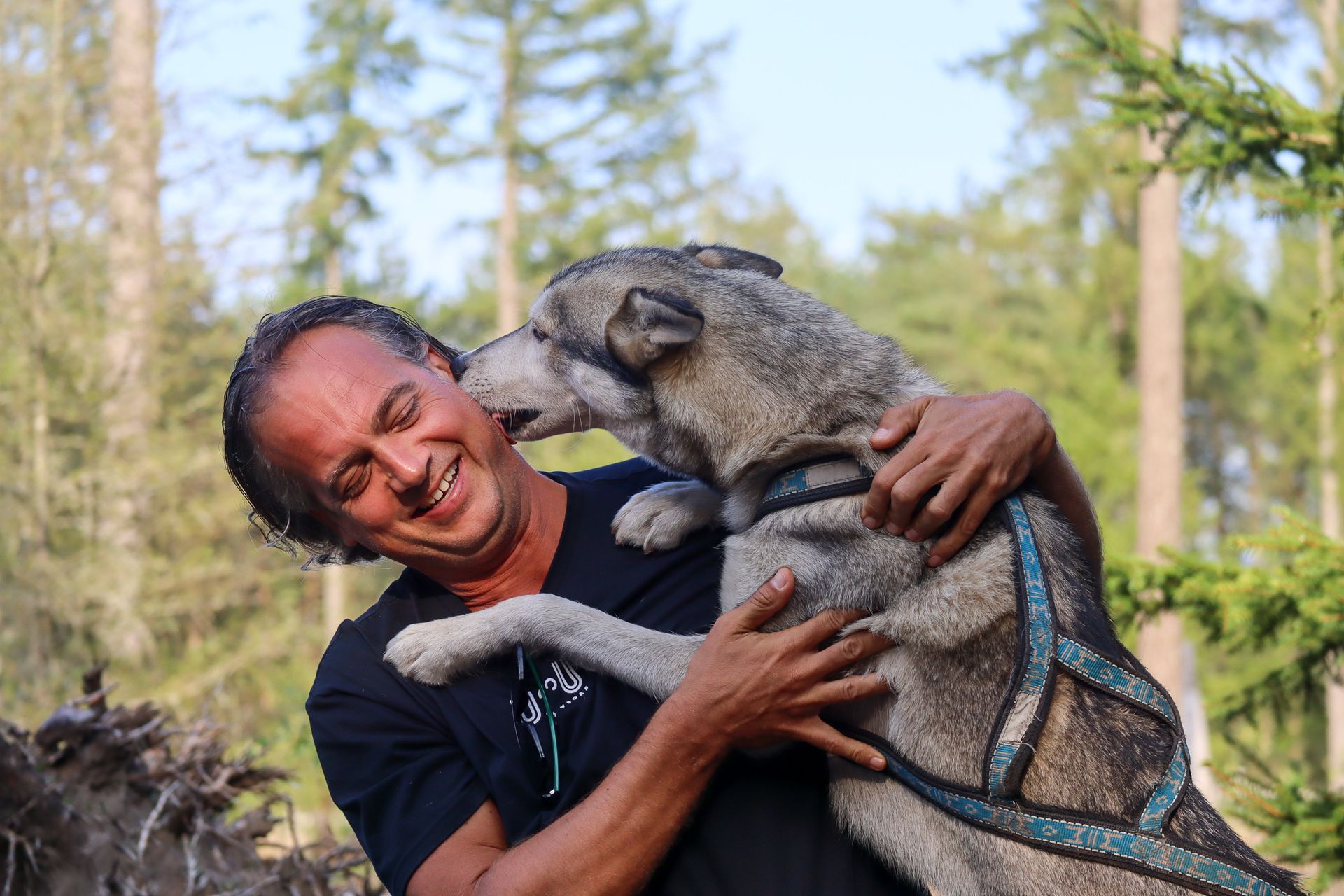 Husky Reizen | Dutch Husky Experience | Nederland