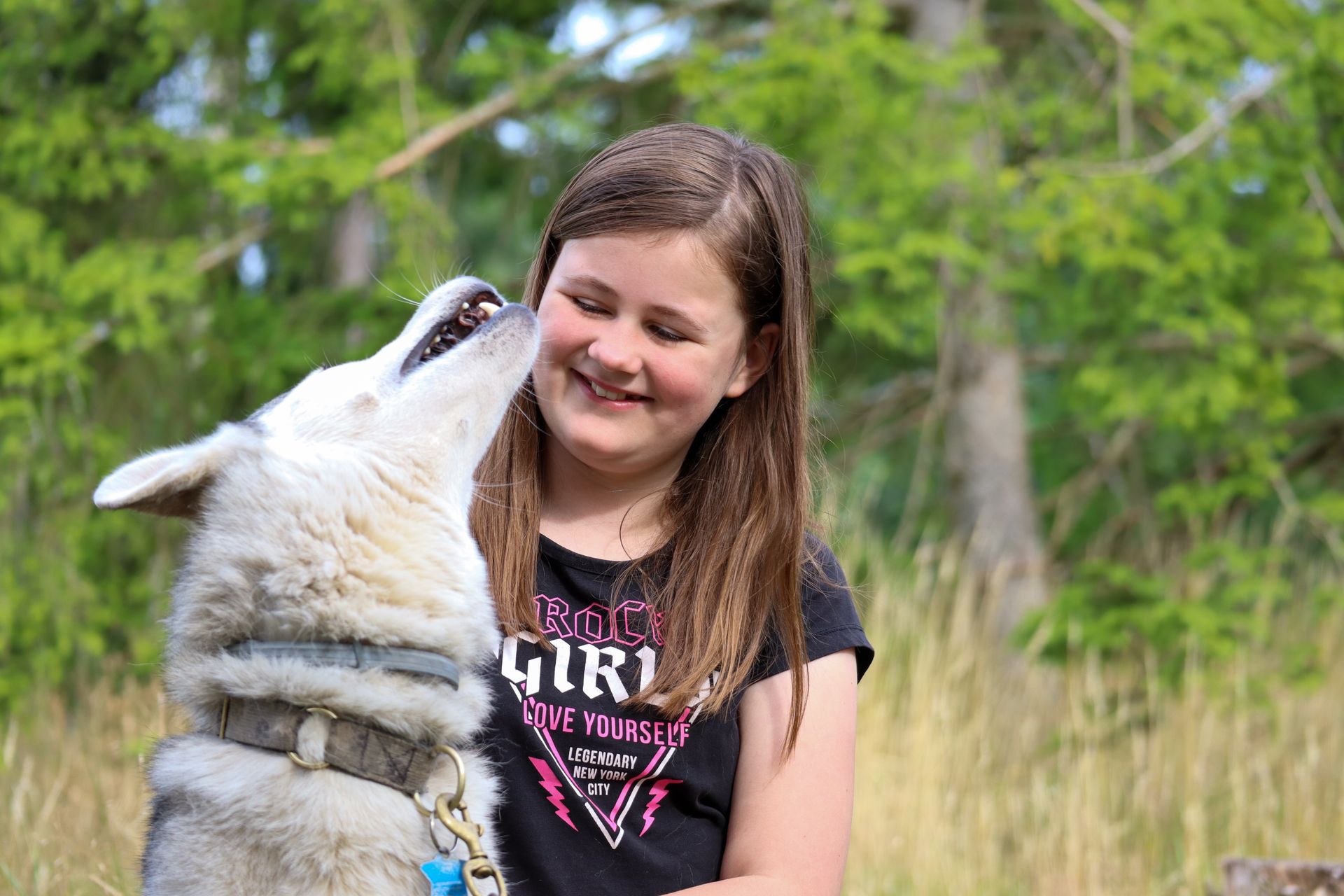 Husky reizen | Dutch Husky Experience | Nederland