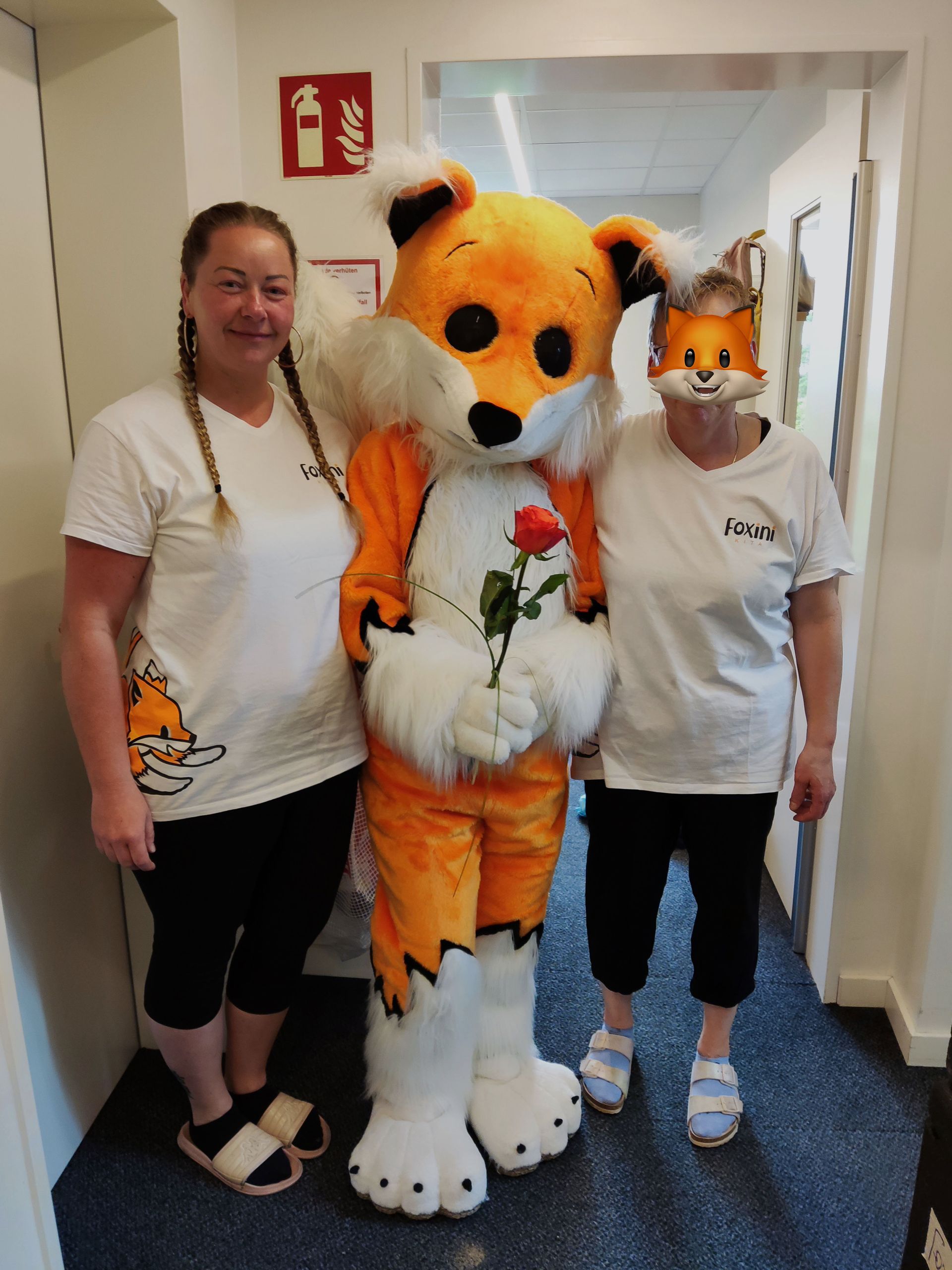 Foxini's zweiter Geburtstag🥳