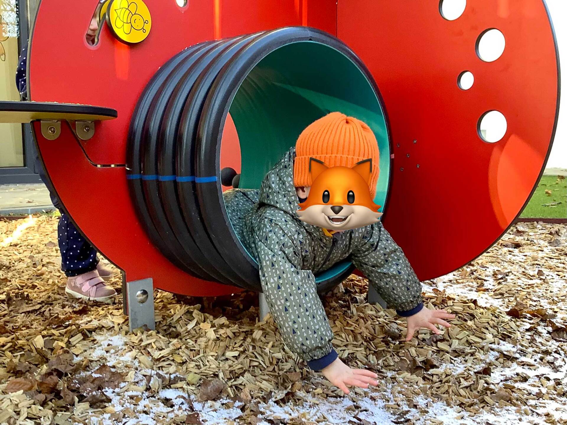 Foxini Insight: Spielplatz, Spaziergänge & Co.