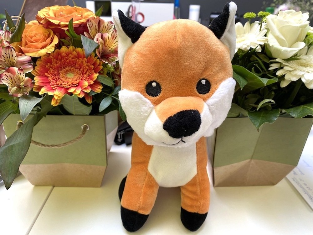 Yippieee! Foxini Kita Brookdeich ist da :)