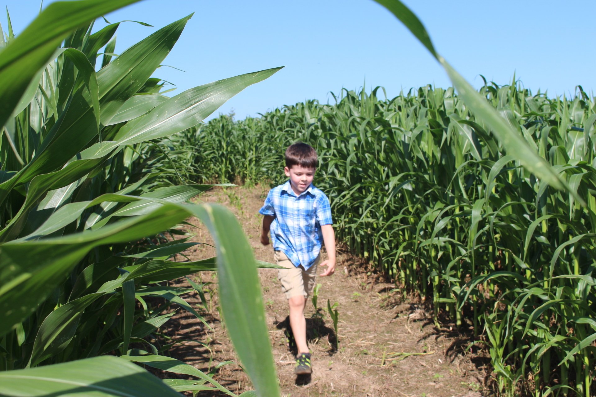 Bushel and a Peck Market | Apple Orchard in Chippewa Falls, WI