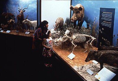 Museum Exhibits | Custom Design & Fabrication Nationwide