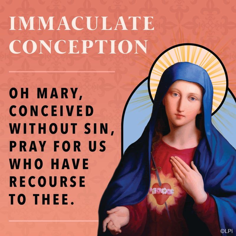 Where to Find Professional Virgin Mary Images for Catholic Parish