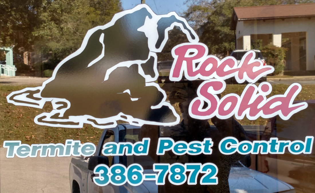 Pest Control I Tallahassee, FL l Rock Solid Termite and Pest Control