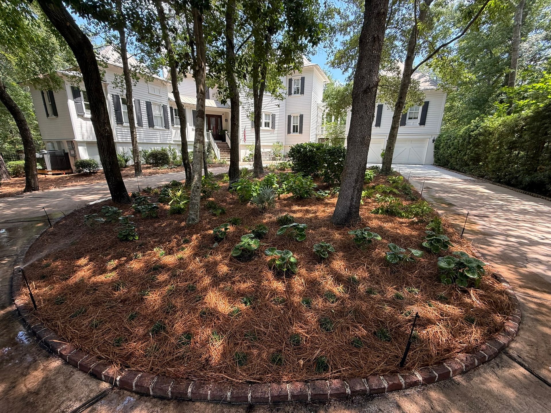 Landscaping Portfolio | Mt. Pleasant, SC