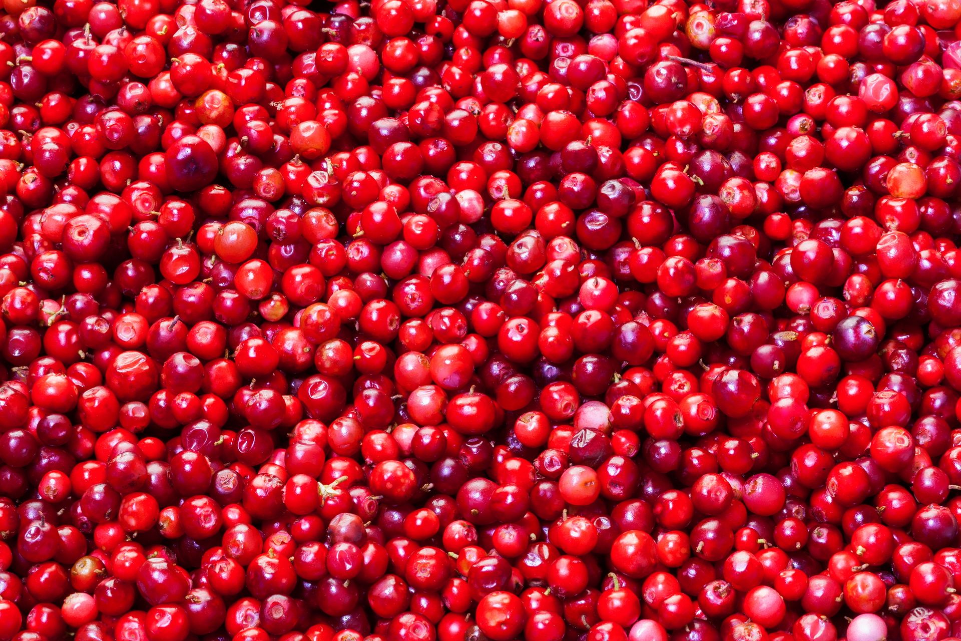 Seasonal Produce Guide: Fresh Fruits & Vegetables by Season