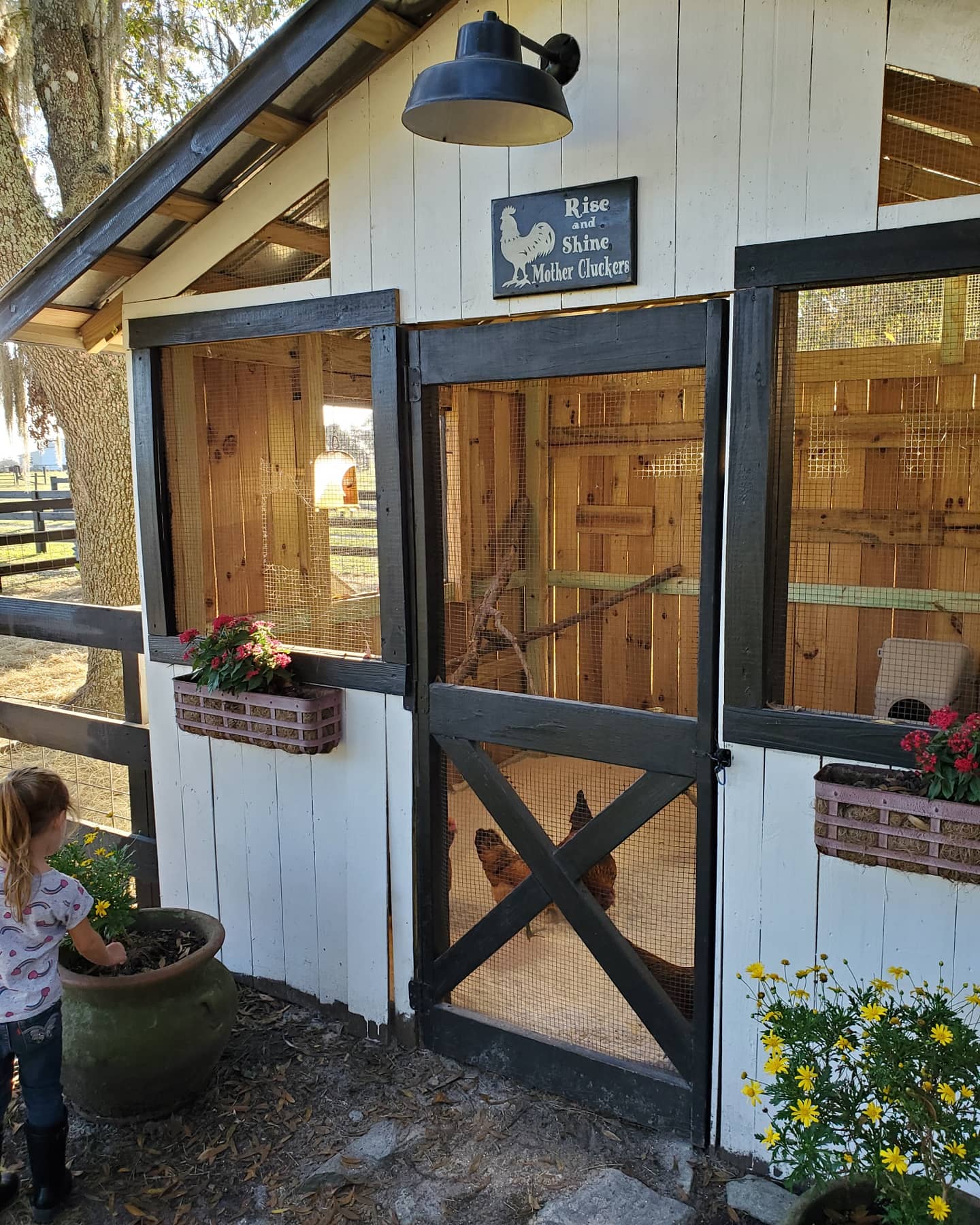Gallery | Darby Farms | Dade City, Florida