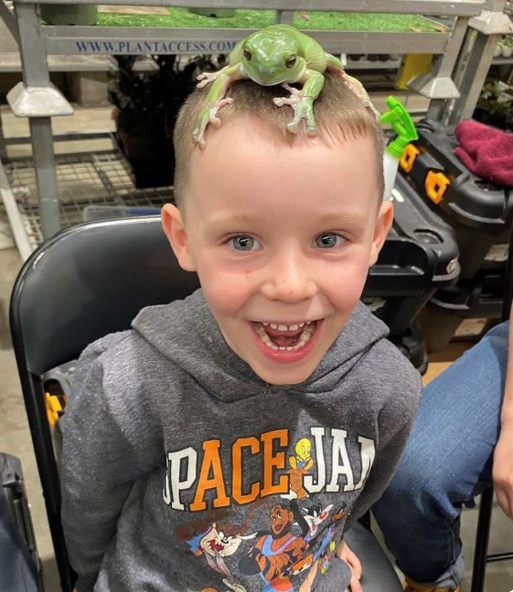 Your Go-to Mobile Zoo for Your Parties & Events in NSW