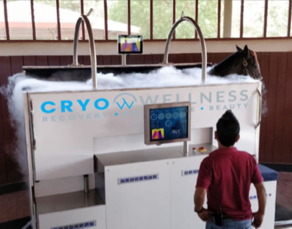 Cryo Wellness Brentwood Essex