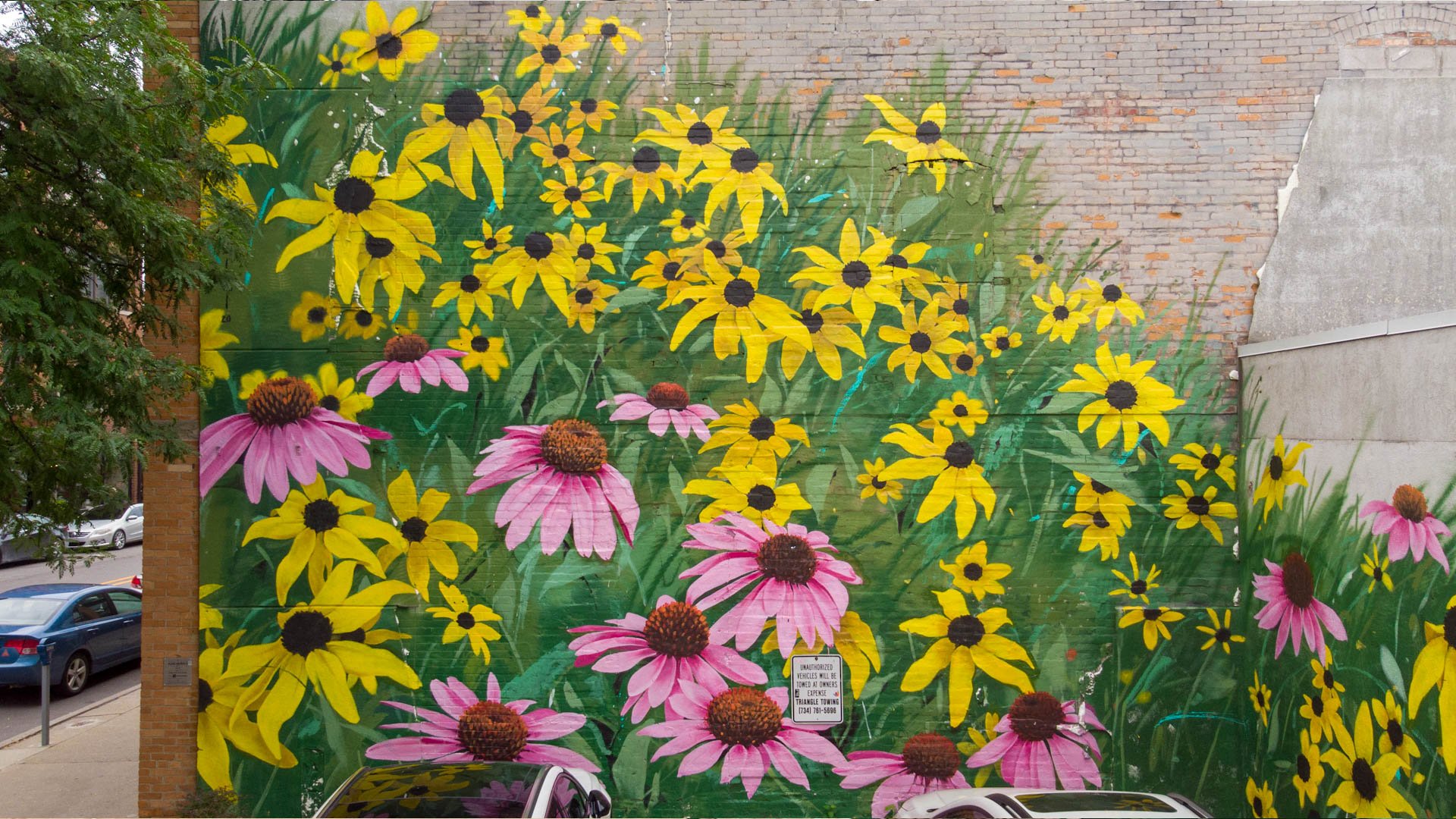 Interactive Murals | BrandXR