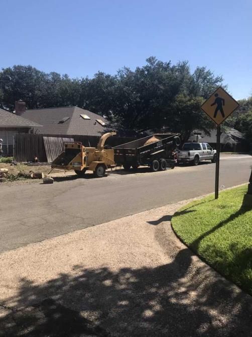 Master Tree Service | Expert Tree Services in Waco, TX