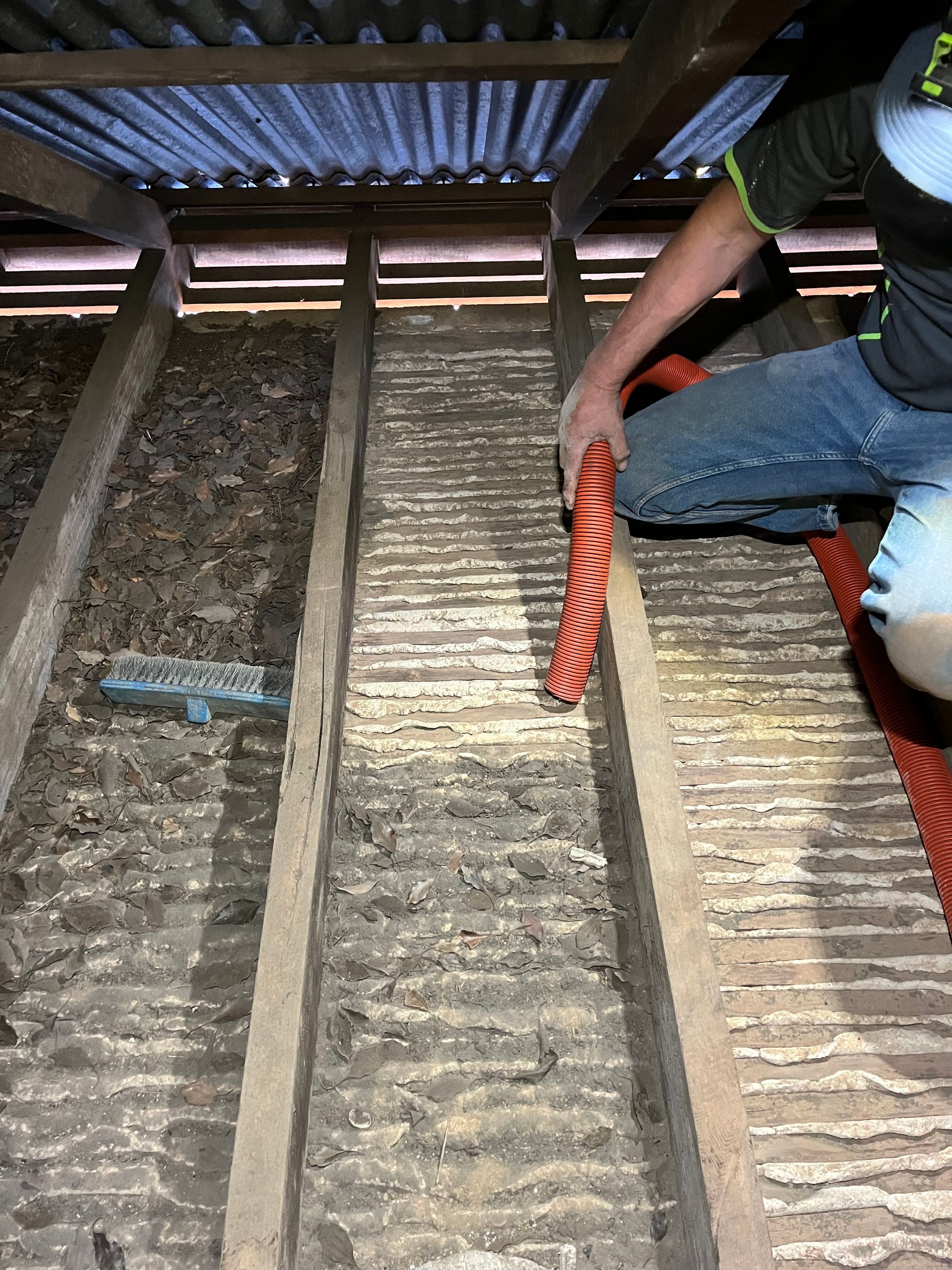 Insulation Removal & Installation | Roof vacuum | TotalVac | NSW