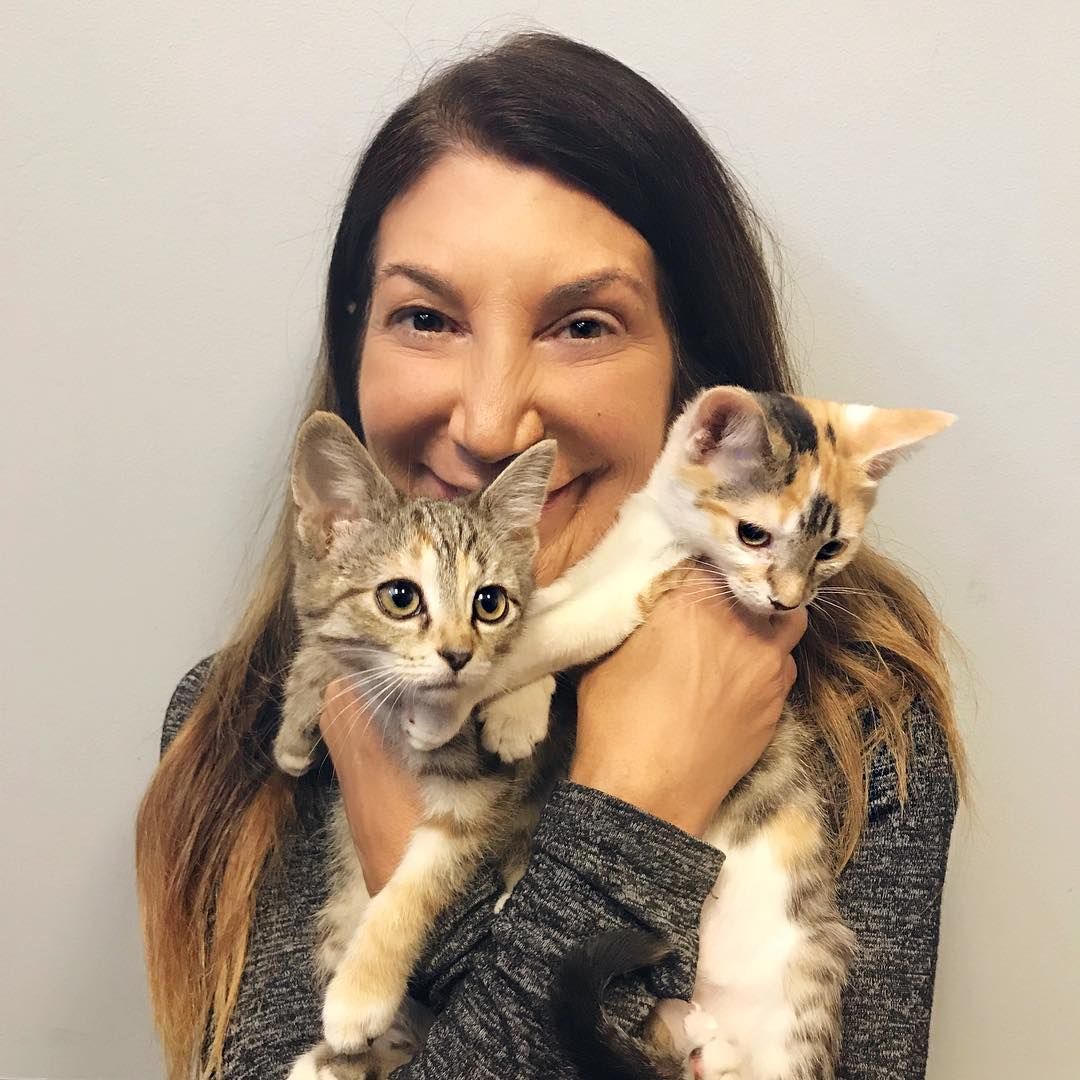 Nonprofit Organization | Friends of Kat Simons Foundation | Glen Allen, VA