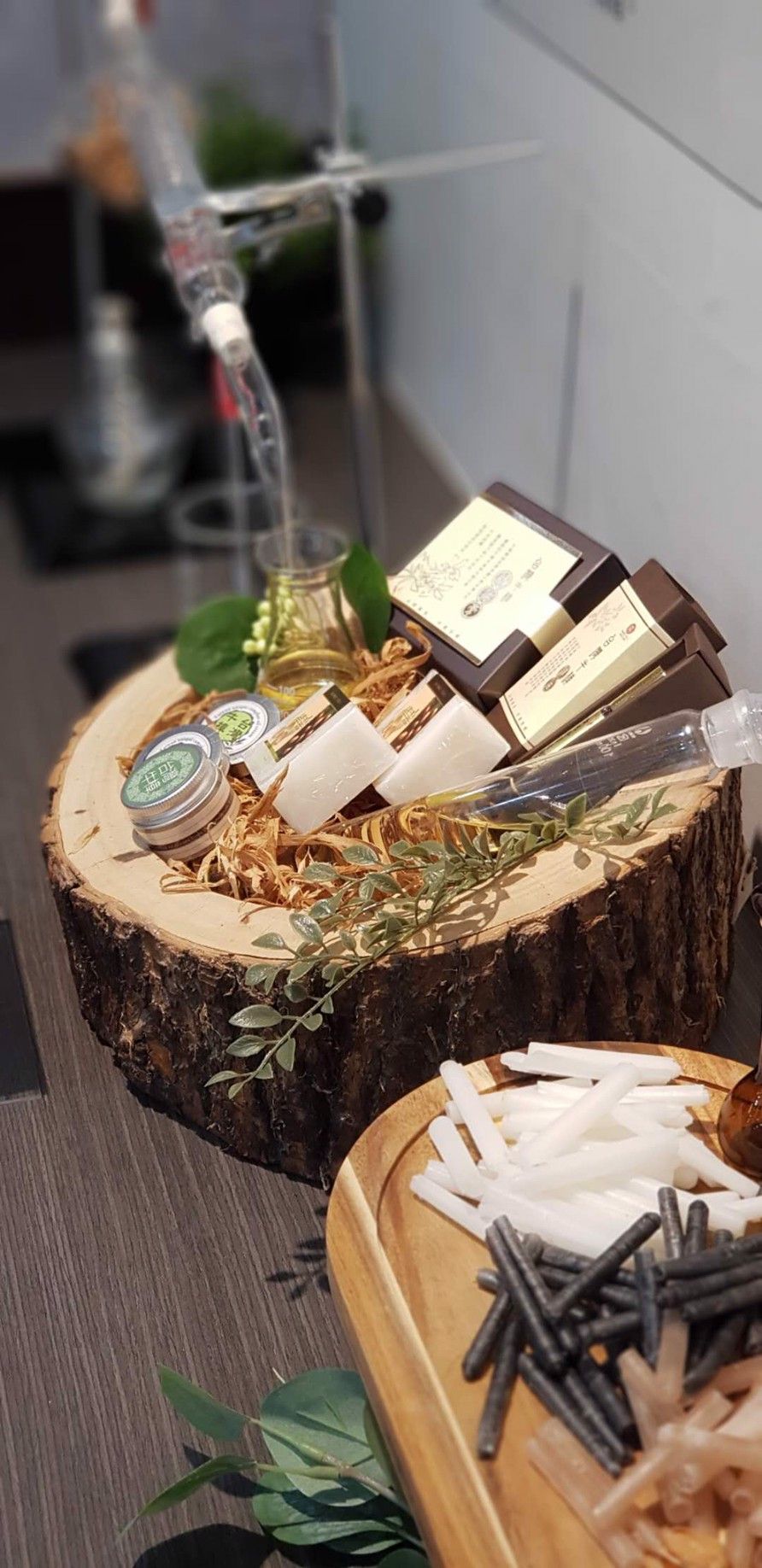 Mawangnong Specialty Store - Story House | Dizhi wall-breaking spore ...