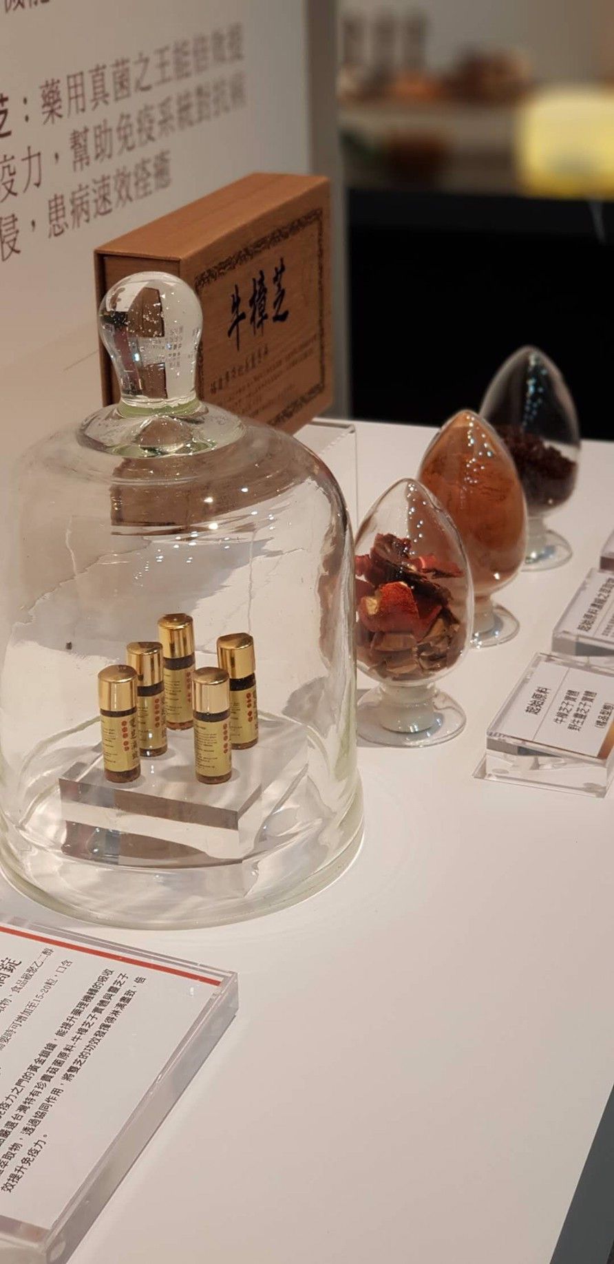 Mawangnong Specialty Store - Story House | Dizhi wall-breaking spore ...