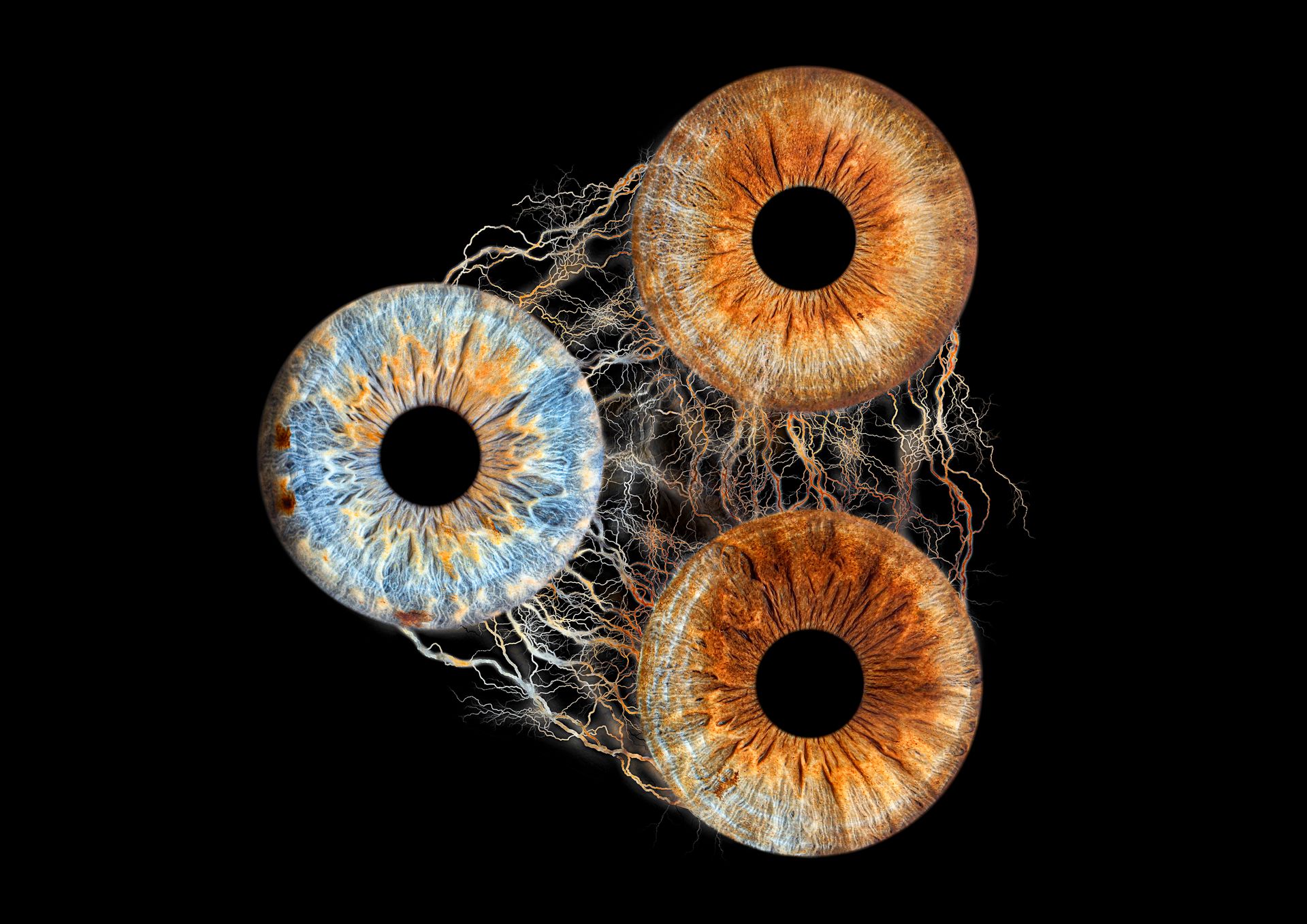 Eye Portrait - Iris Photography Dublin