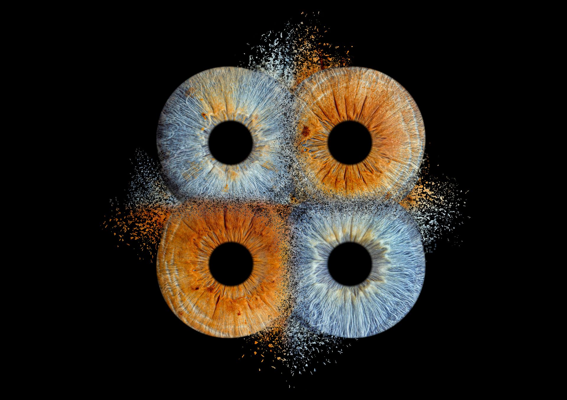 Eye Portrait - Iris Photography Dublin