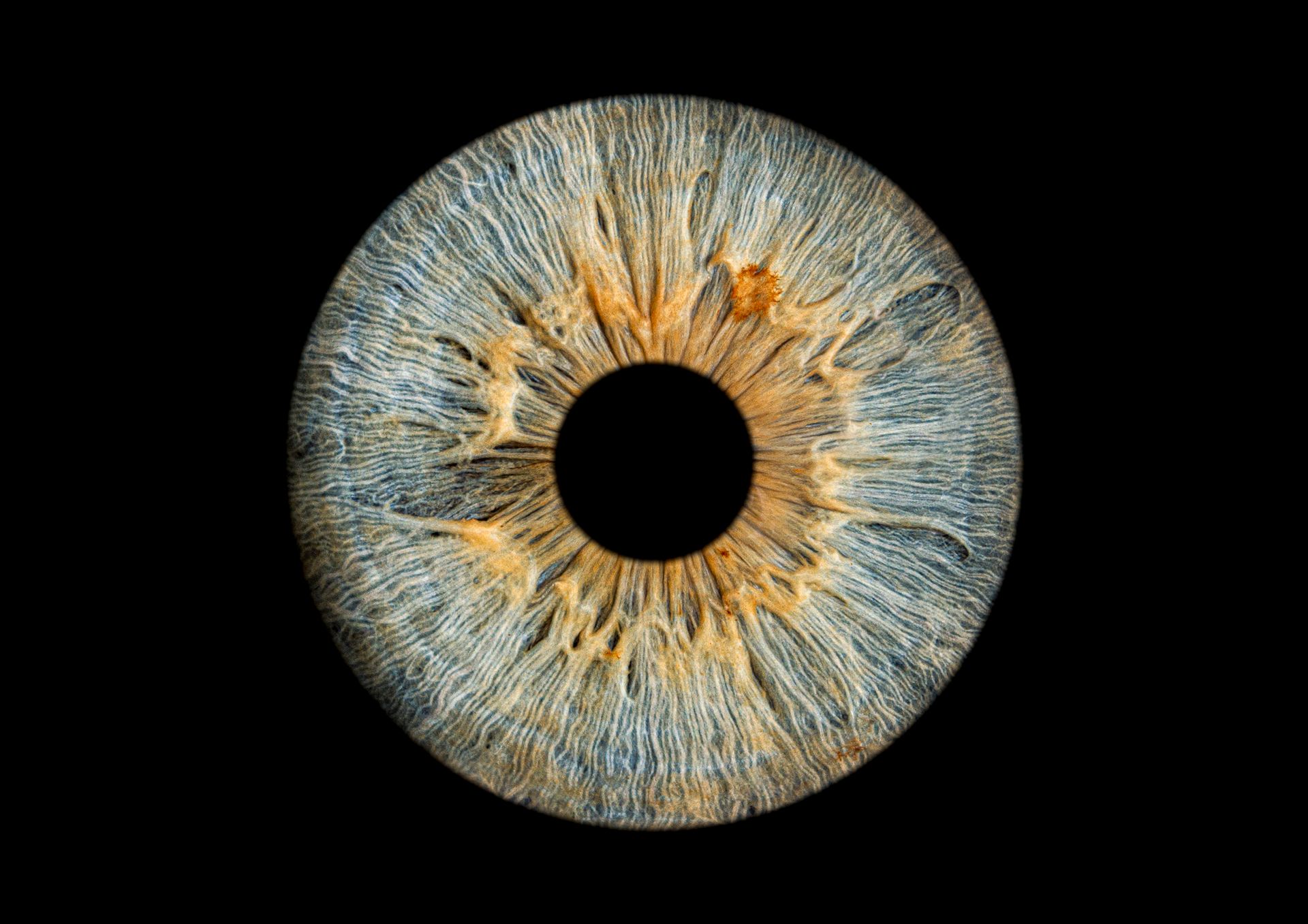 Eye Portrait - Iris Photography Dublin
