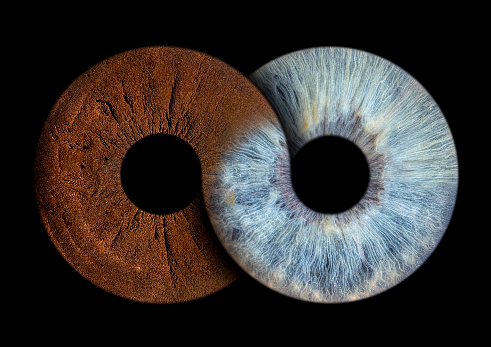 Eye Portrait - Iris Photography Dublin