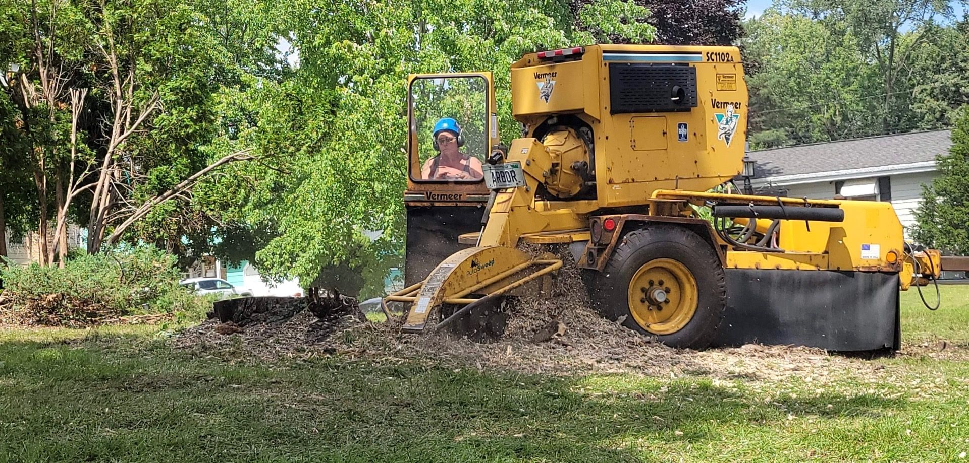 Tree Care Services | Minneapolis, MN | Arbor Tree Service