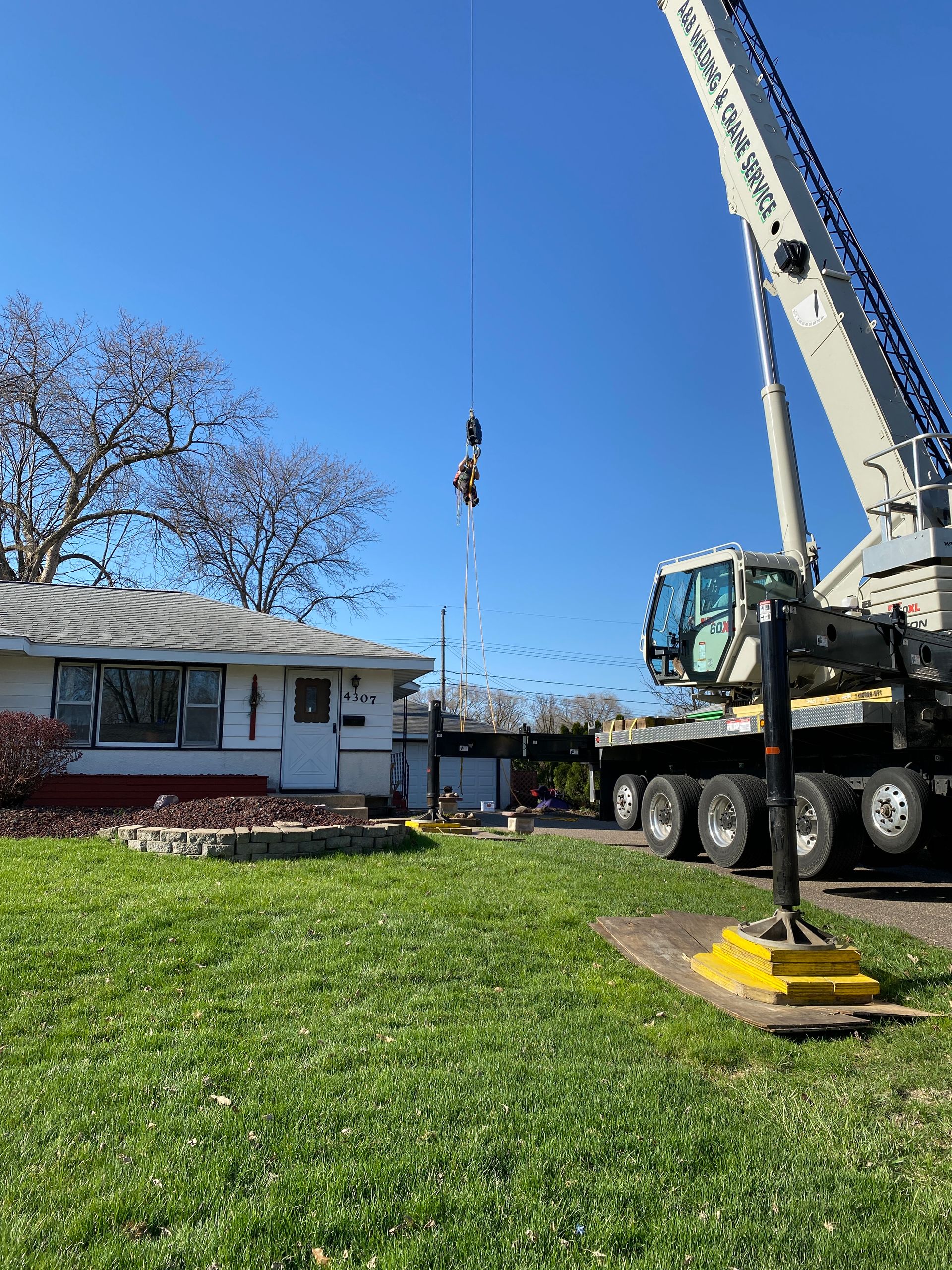 Tree Care Gallery | Minneapolis, MN | Arbor Tree Service