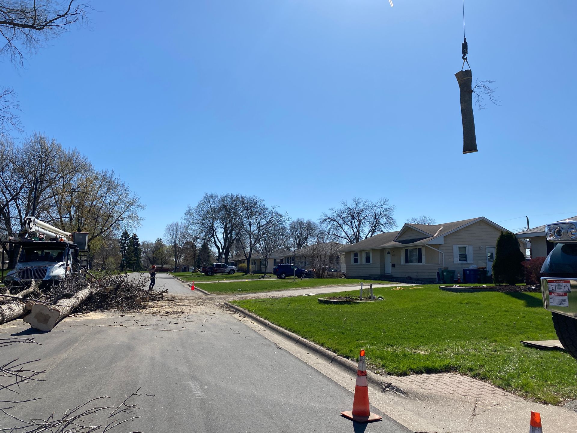 Tree Care Gallery | Minneapolis, MN | Arbor Tree Service