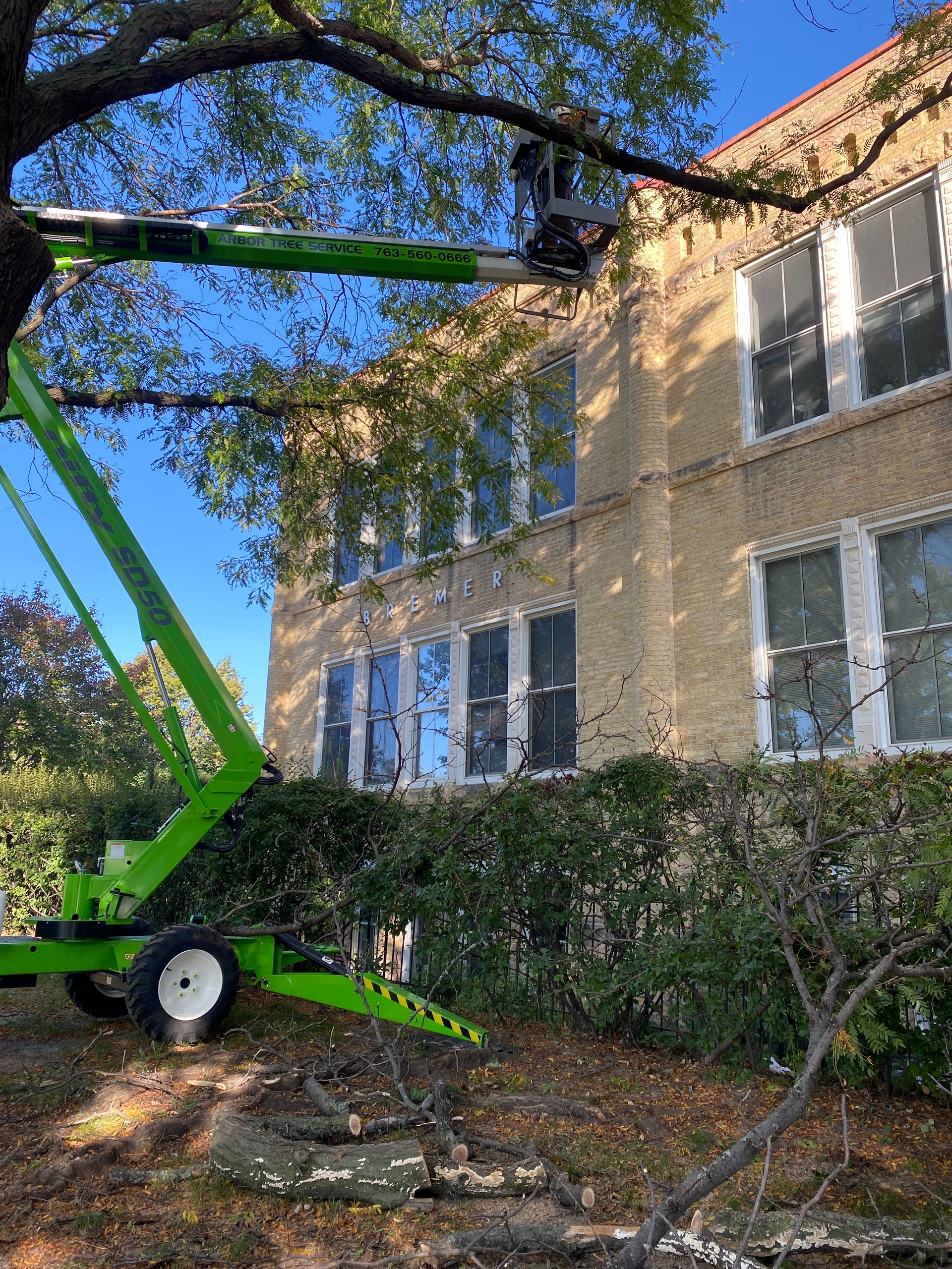 Tree Care Gallery | Minneapolis, MN | Arbor Tree Service